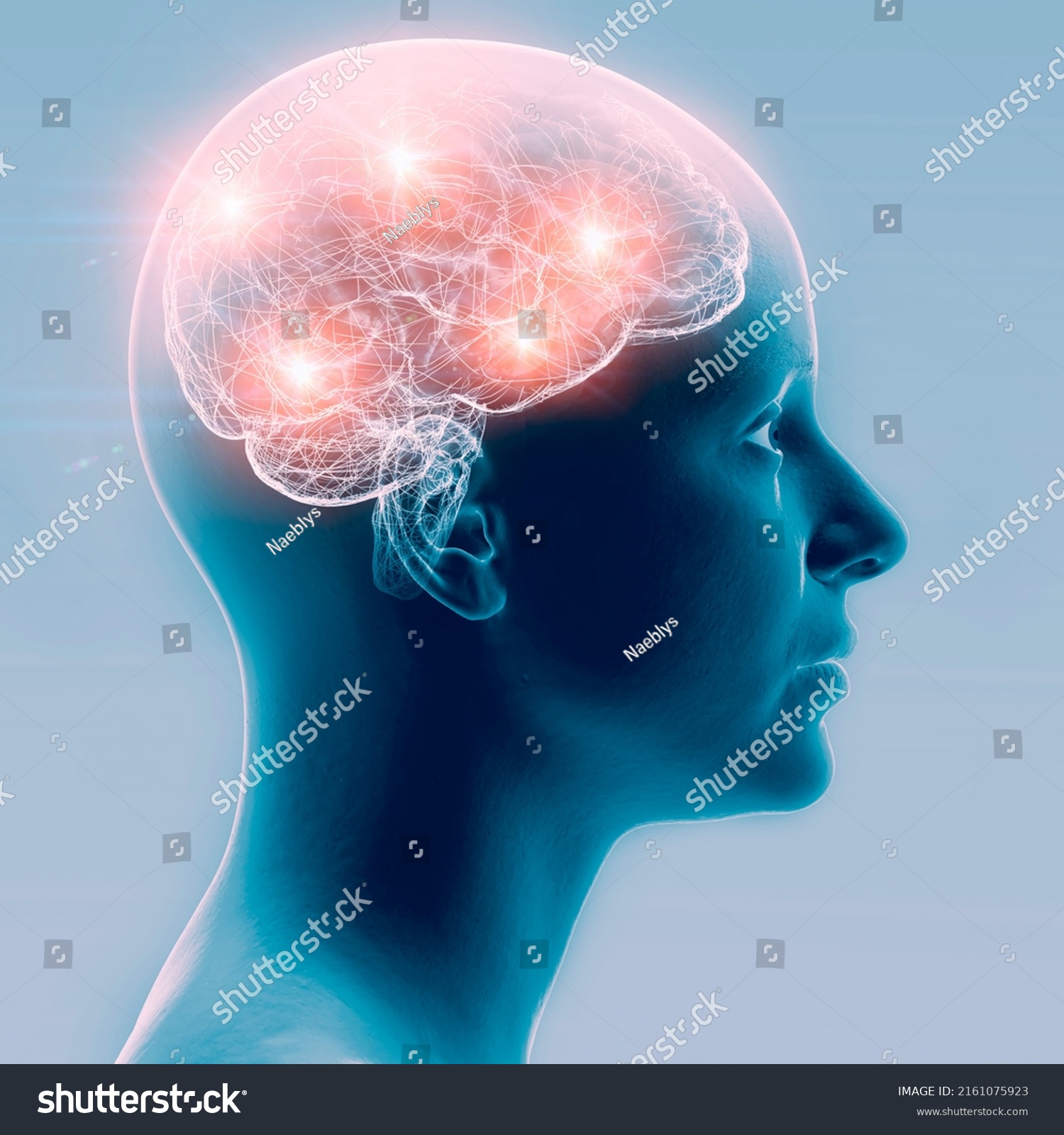 Synapse Connections Structure That Permits Neuron: ภาพประกอบสต็อก ... Synapse Connections Structure That Permits Neuron: ภาพประกอบสต็อก ...