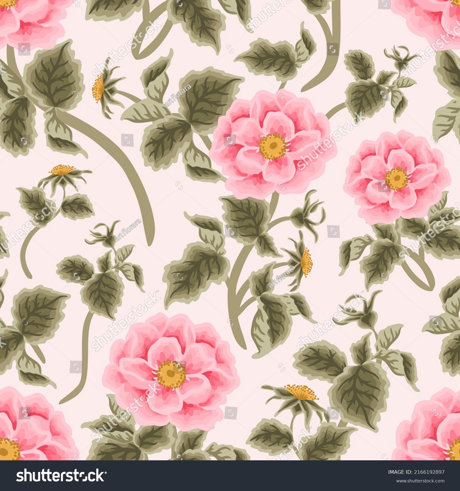 Vintage Aesthetic Garden Pink Rose Flower Stock Vector (royalty Free