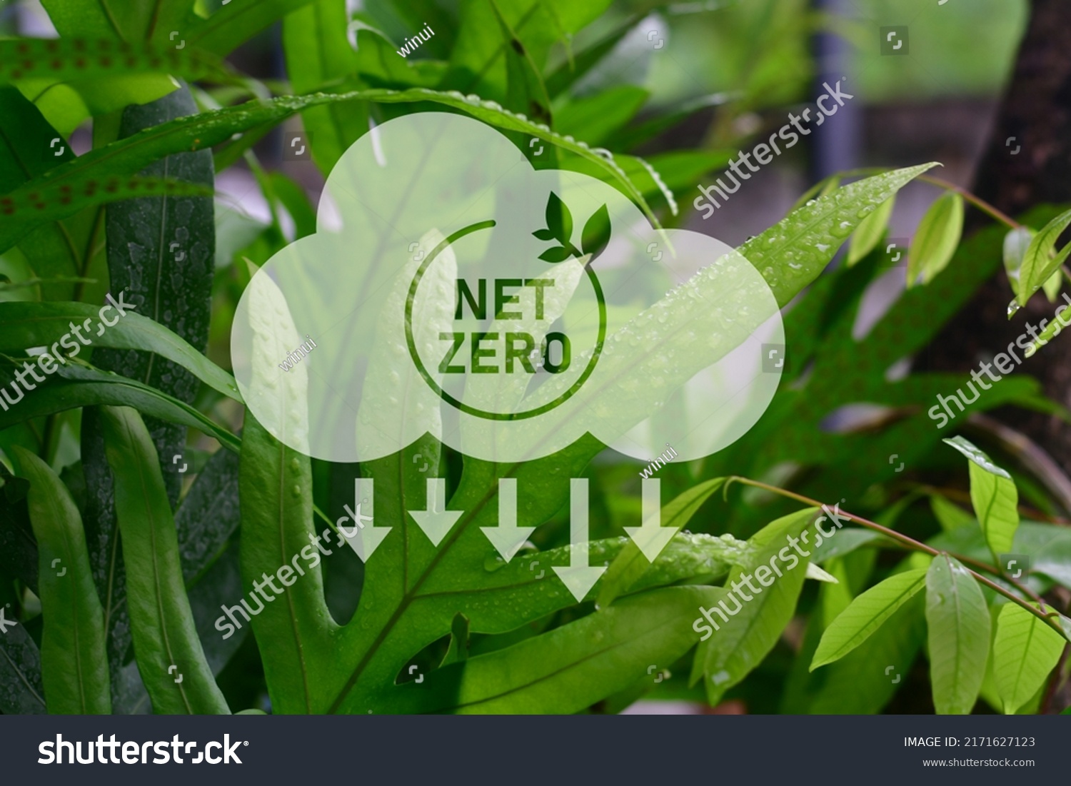 Co2 Netzero Emission Concept Concept Carbon Stock Photo 2171627123 ... Co2 Netzero Emission Concept Concept Carbon Stock Photo 2171627123 ...