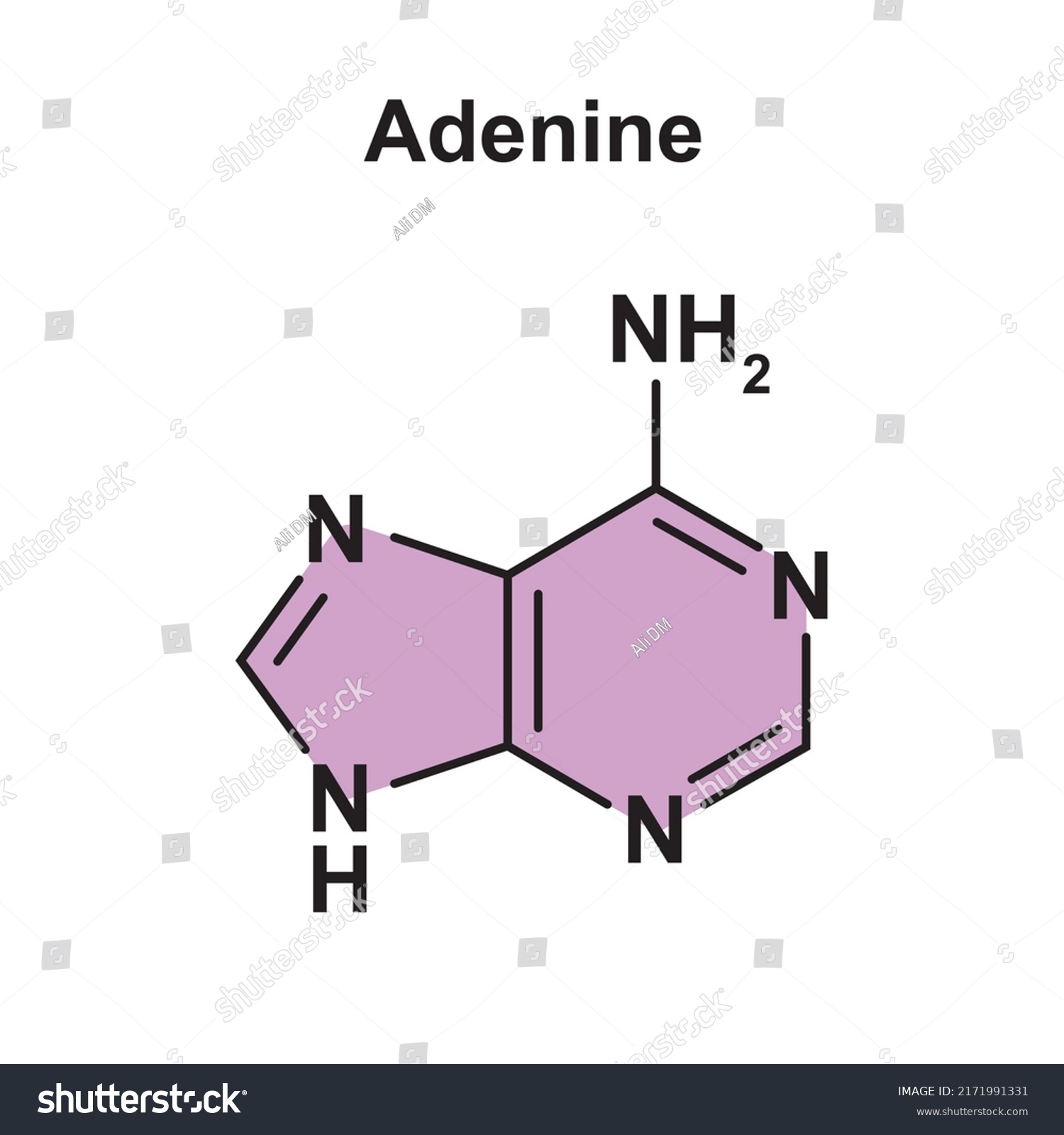 Chemical Illustration Adenine Molecule Vector Illustration Stock Vector ... Chemical Illustration Adenine Molecule Vector Illustration Stock Vector ...