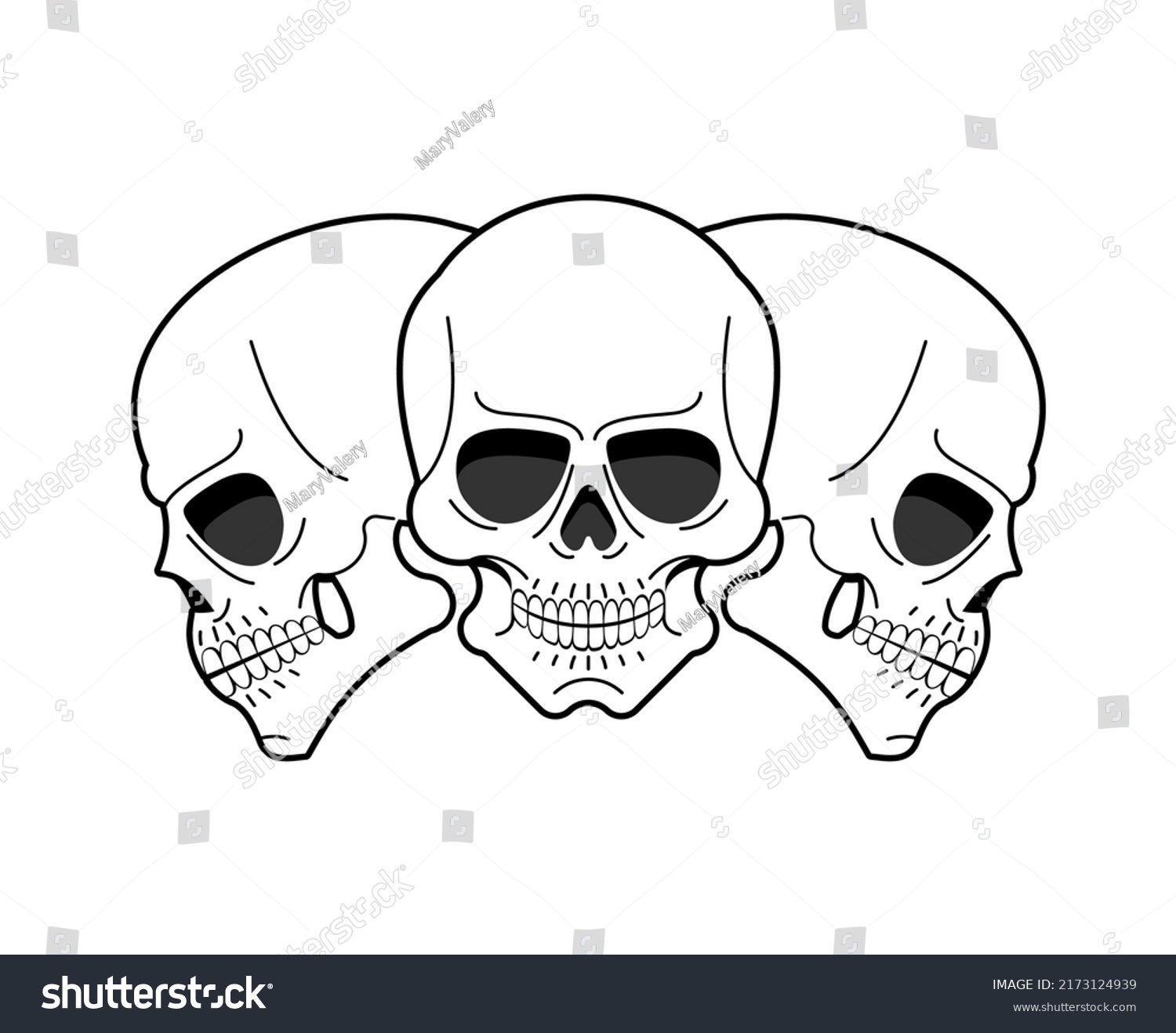 Anatomical Skull Isolated Skeleton Head Vector Stock Vector (Royalty ... Anatomical Skull Isolated Skeleton Head Vector Stock Vector (Royalty ...
