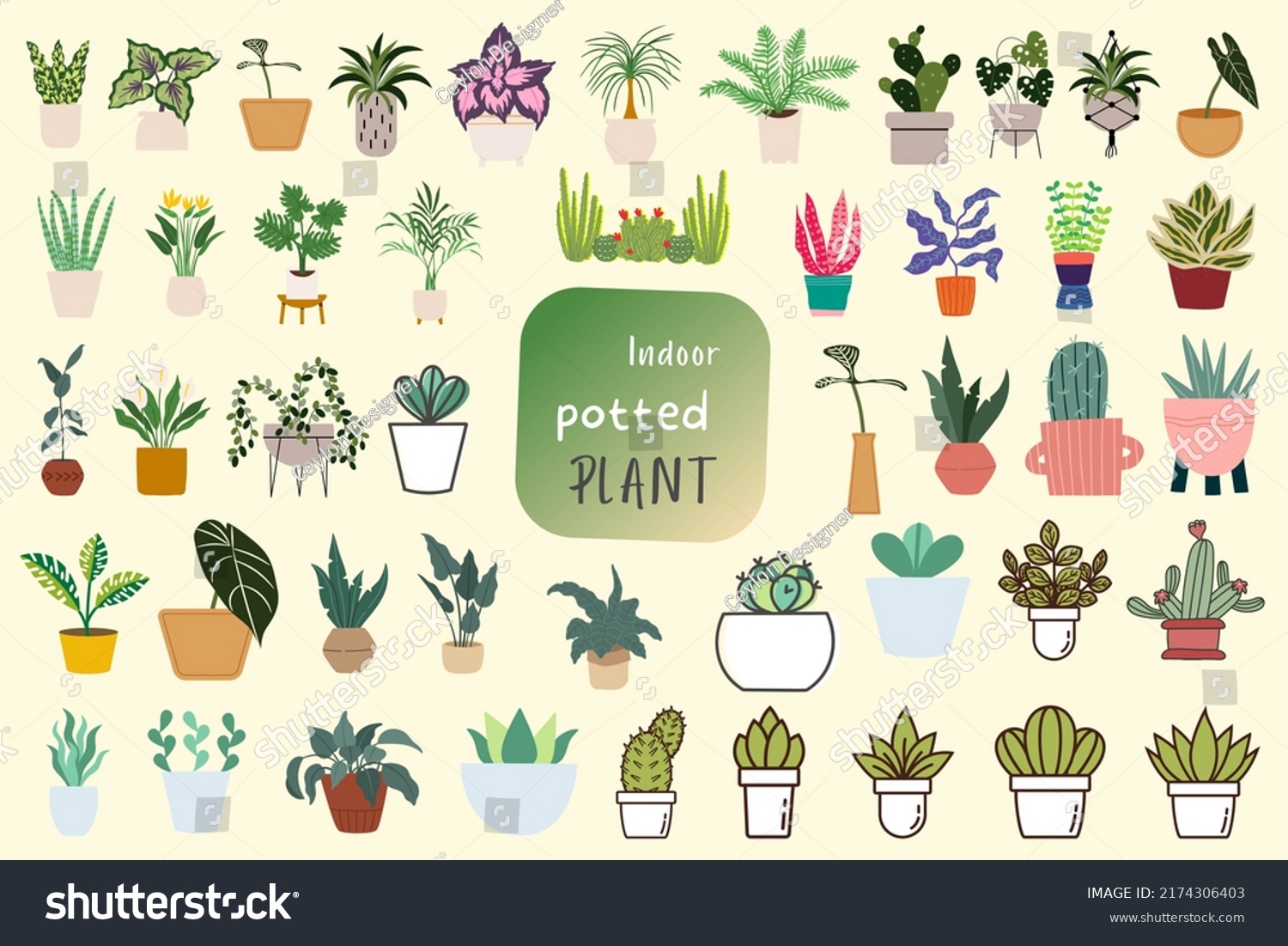 Indoor Hand Drawn Potted Plants Vector Stock Vector Royalty Free