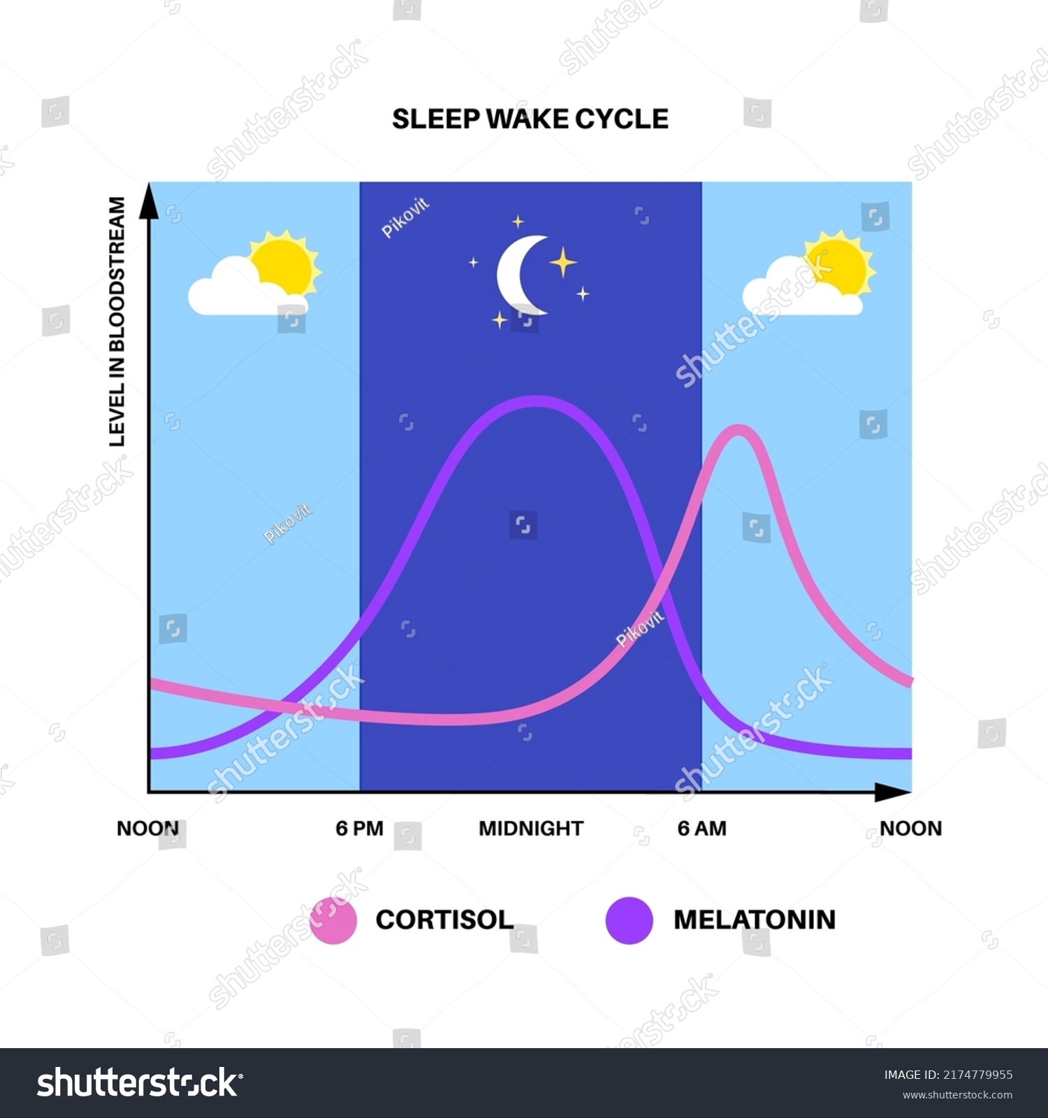 Circadian Rhythm Infographic Poster Melatonin Cortisol Stock Vector ... Circadian Rhythm Infographic Poster Melatonin Cortisol Stock Vector ...
