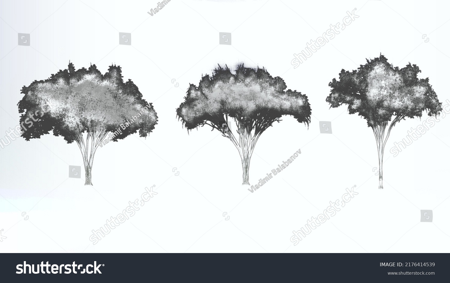 Trees Side View Hq Realistic Set1 Stock Illustration 2176414539 ... Trees Side View Hq Realistic Set1 Stock Illustration 2176414539 ...