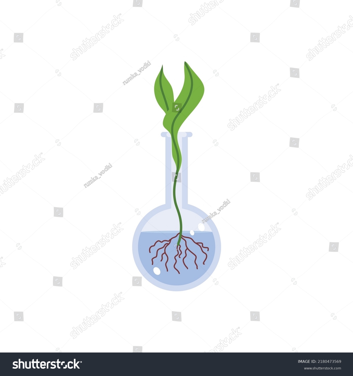 Plant Sprout Laboratory Flask Genetics Bioengineering Stock Vector ... Plant Sprout Laboratory Flask Genetics Bioengineering Stock Vector ...