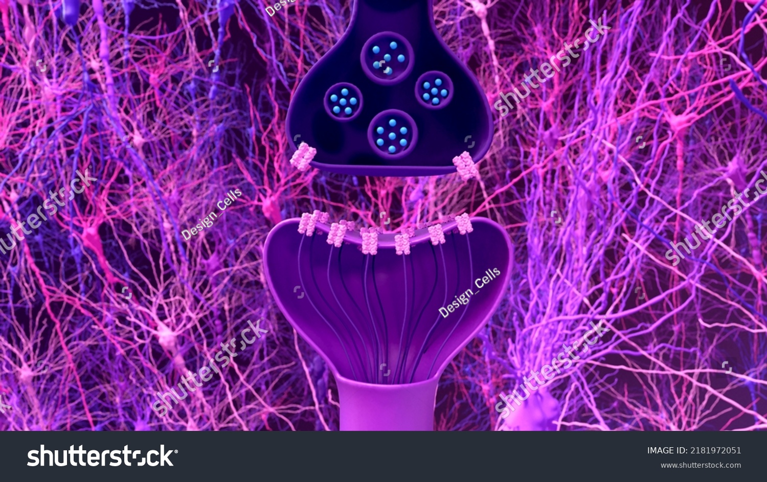Synapse Neuron Transmission Nerve Signal Between Stock Illustration ... Synapse Neuron Transmission Nerve Signal Between Stock Illustration ...