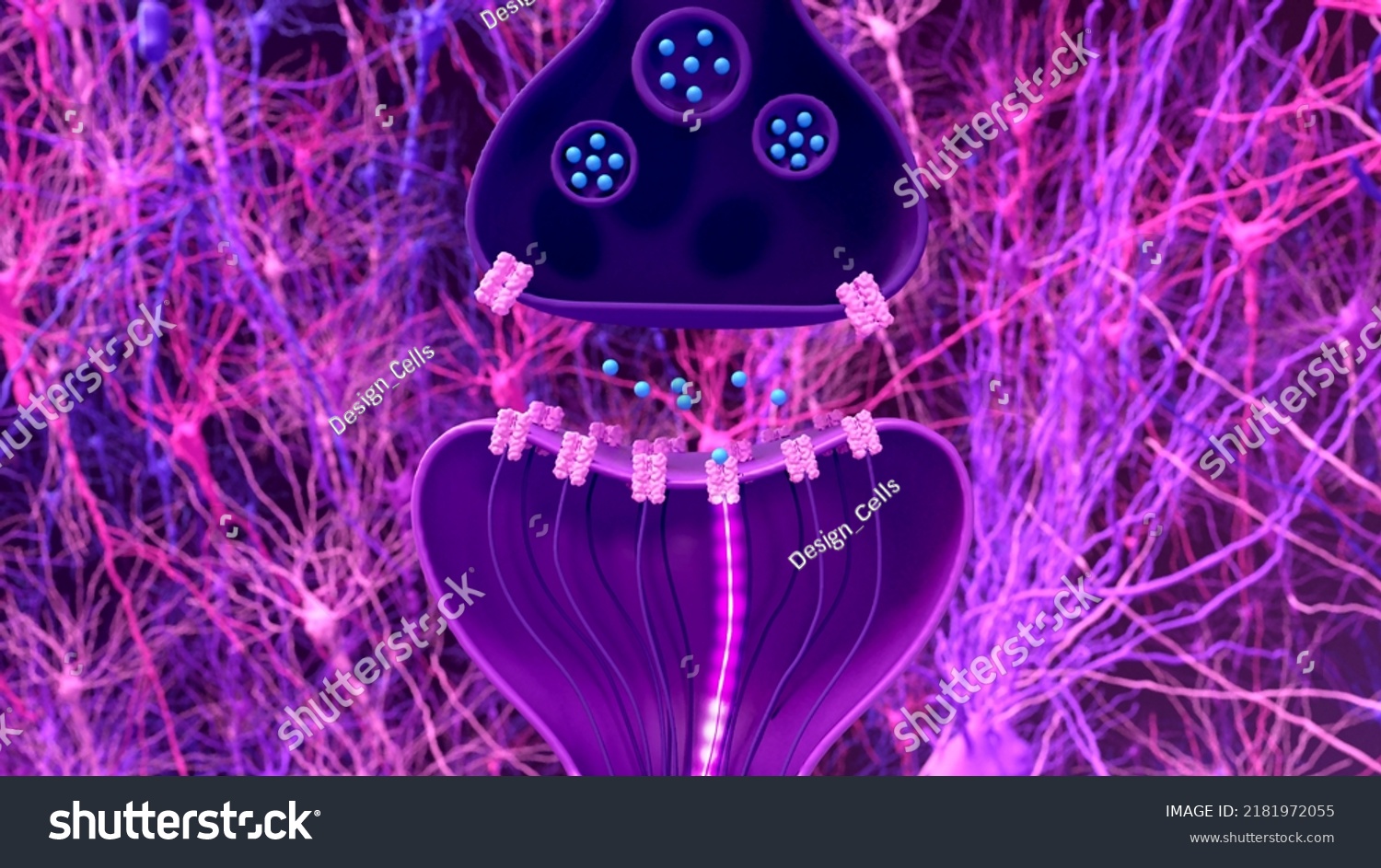 Synapse Neuron Transmission Nerve Signal Between Stock Illustration ... Synapse Neuron Transmission Nerve Signal Between Stock Illustration ...