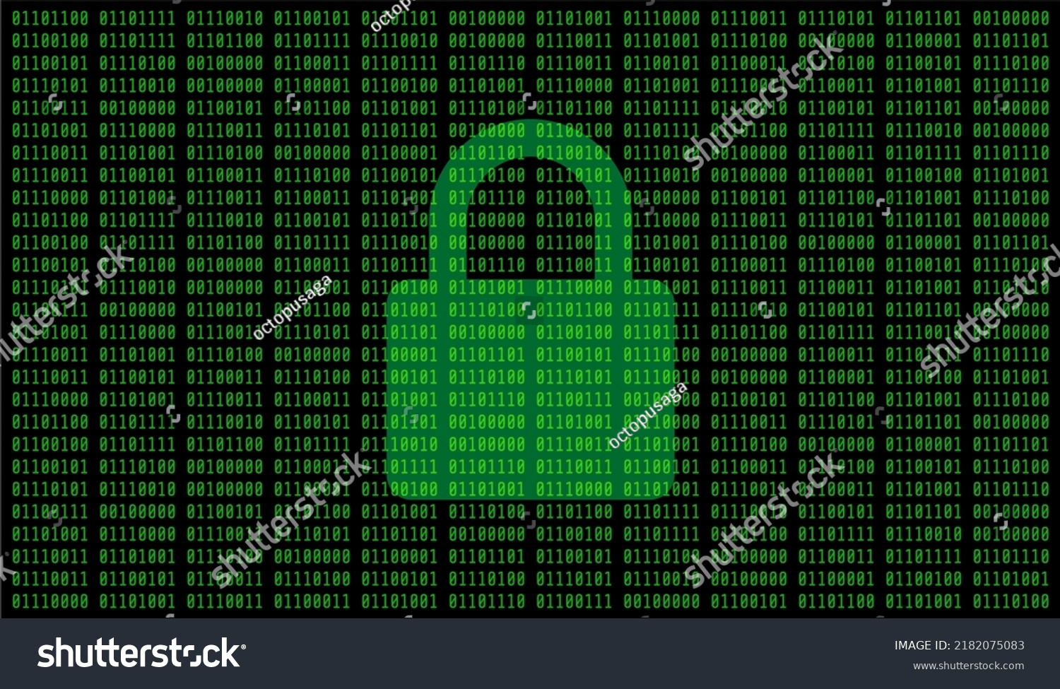 Computer Network Programming Web Security Vector Stock Vector (Royalty ...