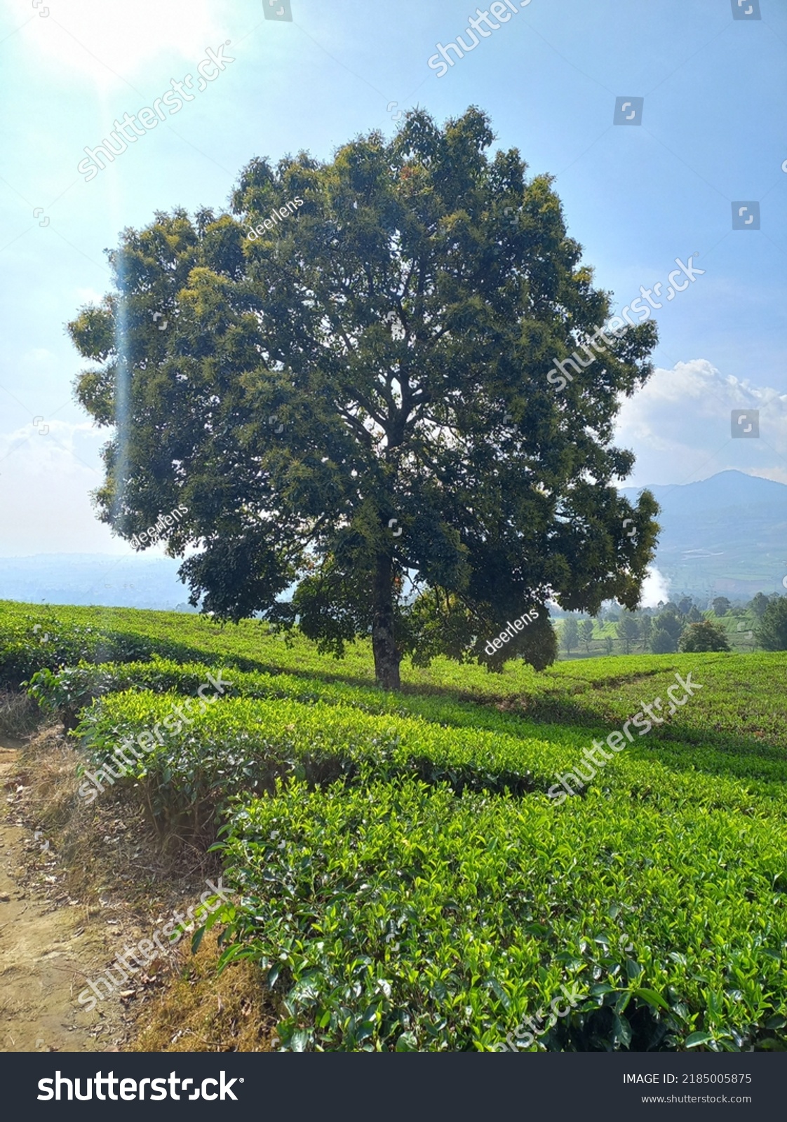 View Wayang Windu Geothermal Power Planttea Stock Photo 2185005875 ... View Wayang Windu Geothermal Power Planttea Stock Photo 2185005875 ...