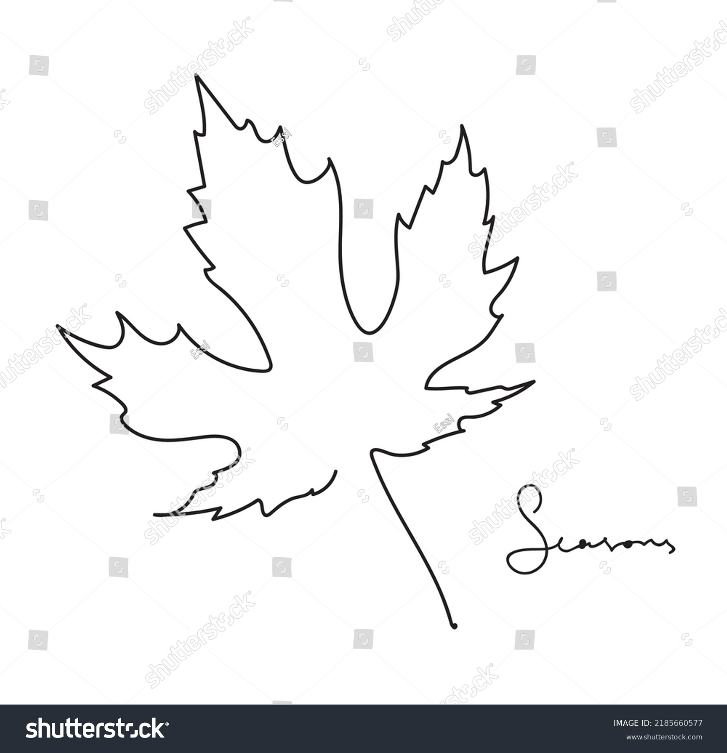 Maple Leaf Line Art Design Drawing Stock Vector Royalty Free