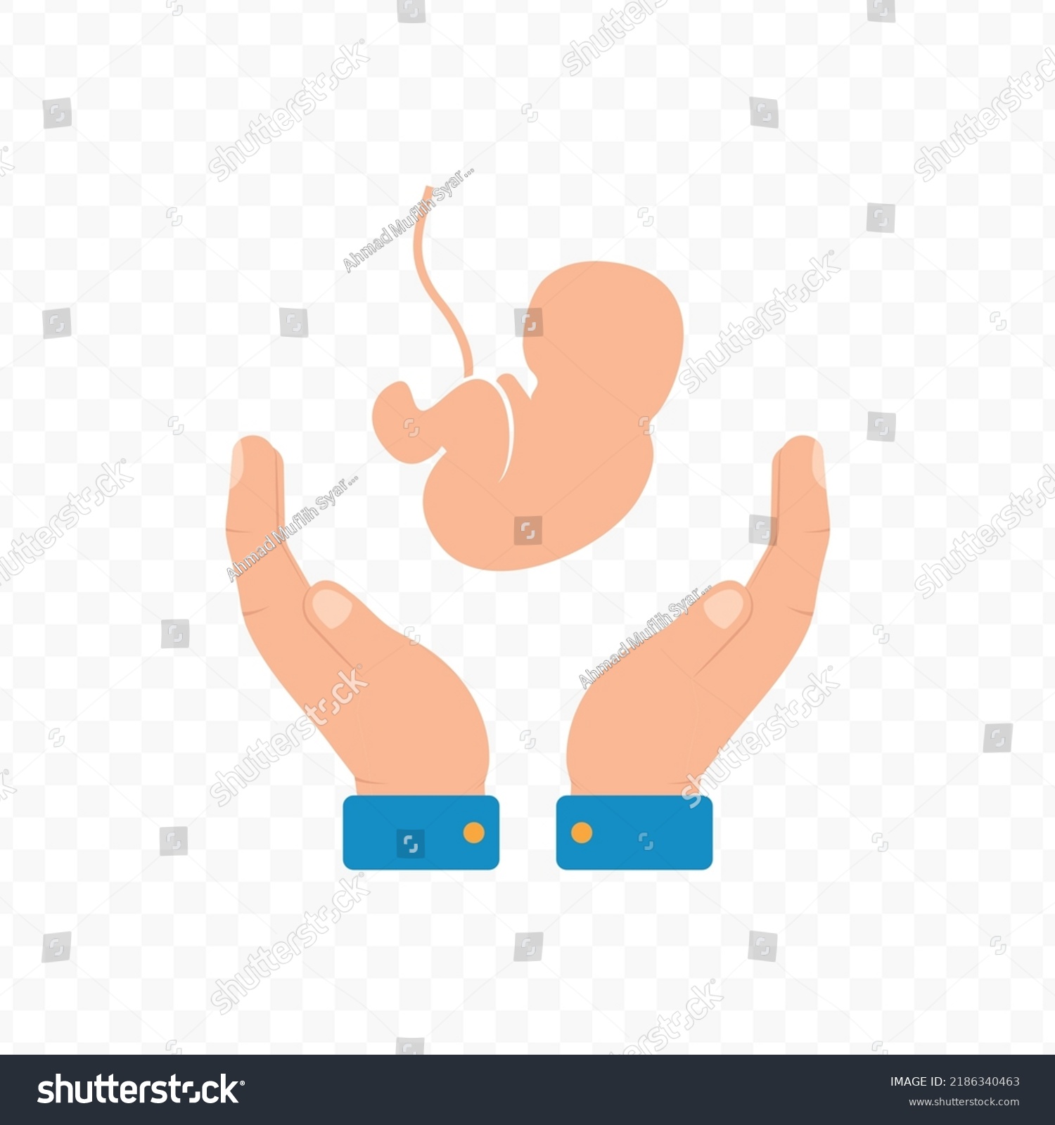 Vector Illustration Take Care Fetus Colored Stock Vector (Royalty Free ... Vector Illustration Take Care Fetus Colored Stock Vector (Royalty Free ...