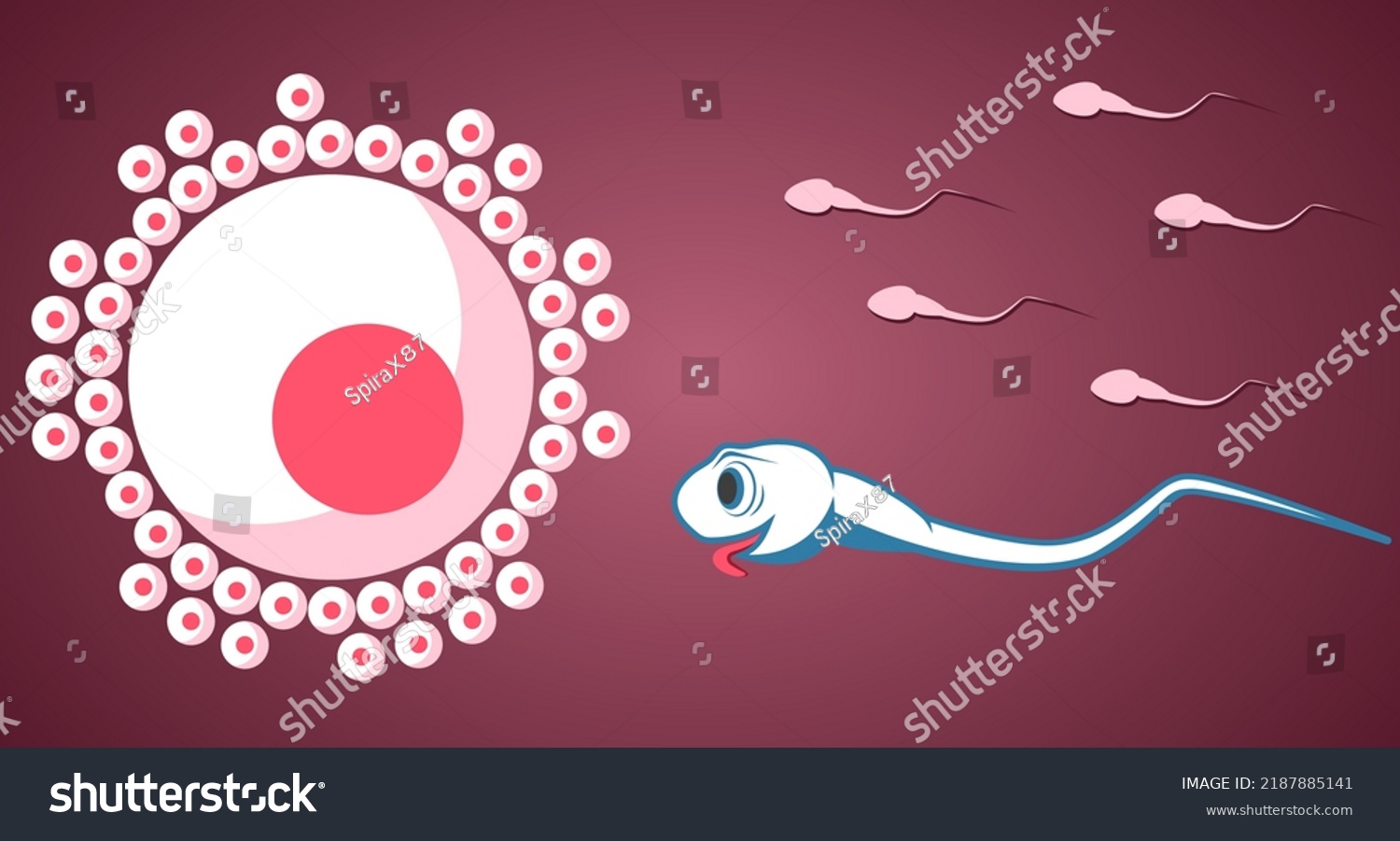 Cartoon Sperm Cell Hurries Egg Cell Stock Vector Royalty Free 2187885141 Shutterstock