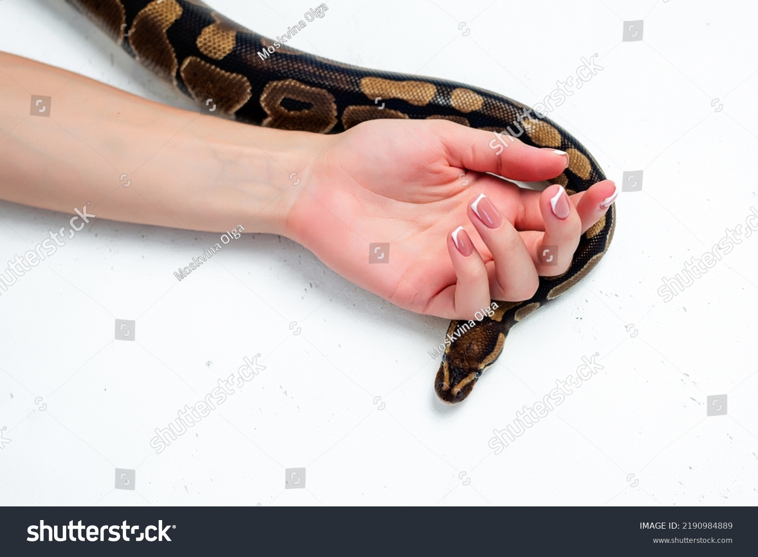 Human Hand On White Background Live Stock Photo 2190984889 | Shutterstock