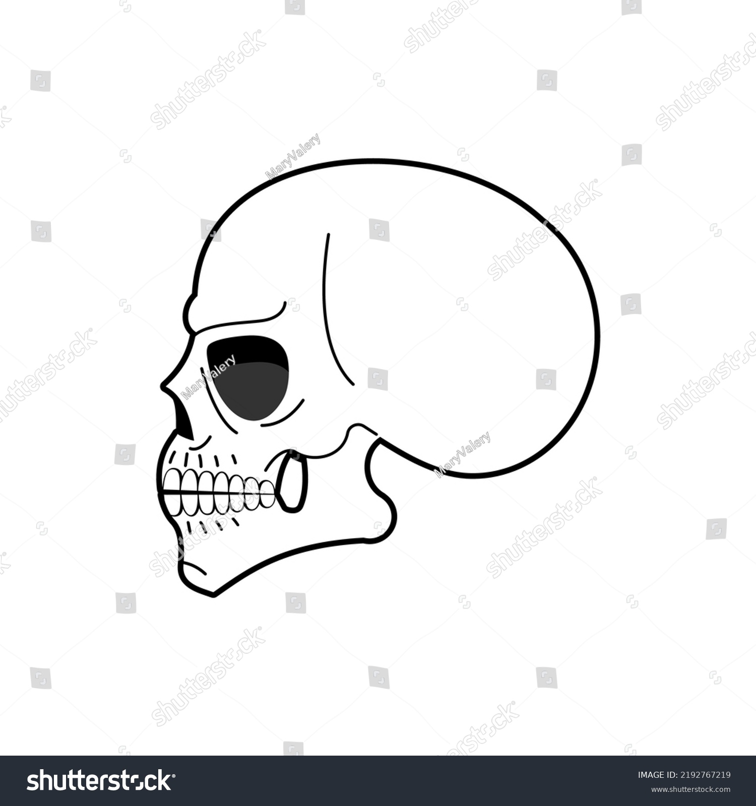 Anatomical Skull Isolated Skeleton Head Vector Stock Vector (Royalty ... Anatomical Skull Isolated Skeleton Head Vector Stock Vector (Royalty ...