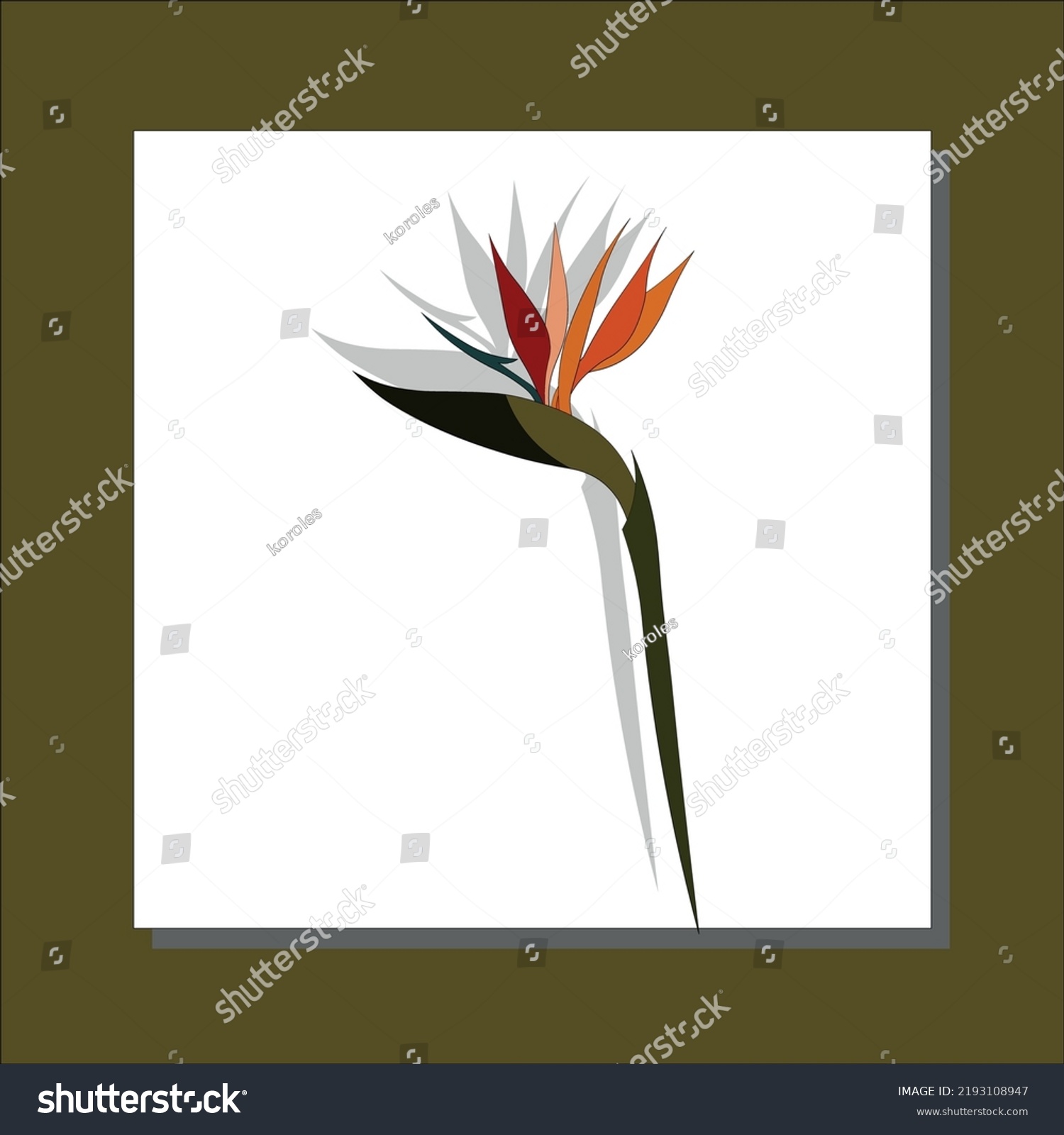 Exotic Strelitzia Flower One Line Art Stock Vector Royalty Free