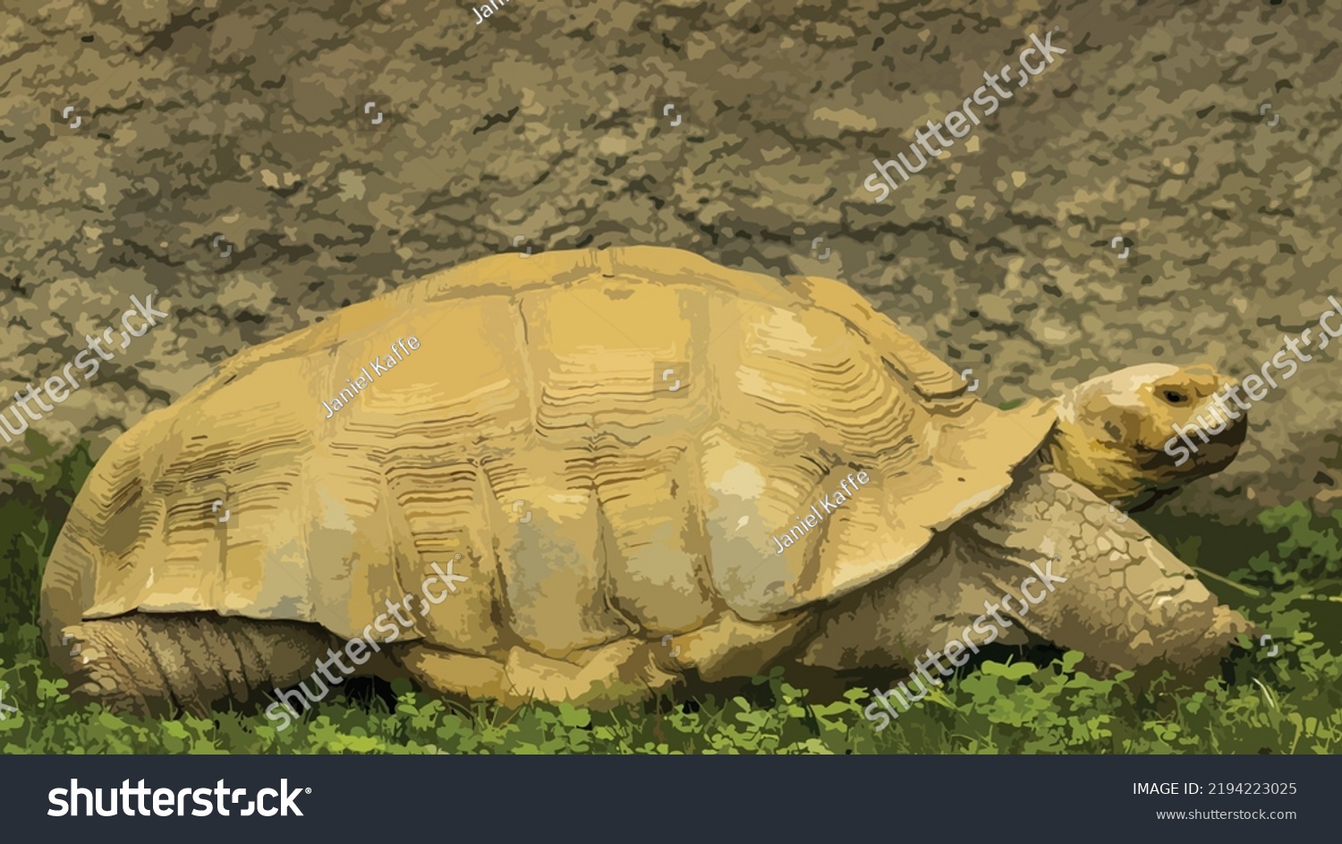 Vector Illustration Large Turtle Grass Enclosure Stock Vector Royalty Free 2194223025