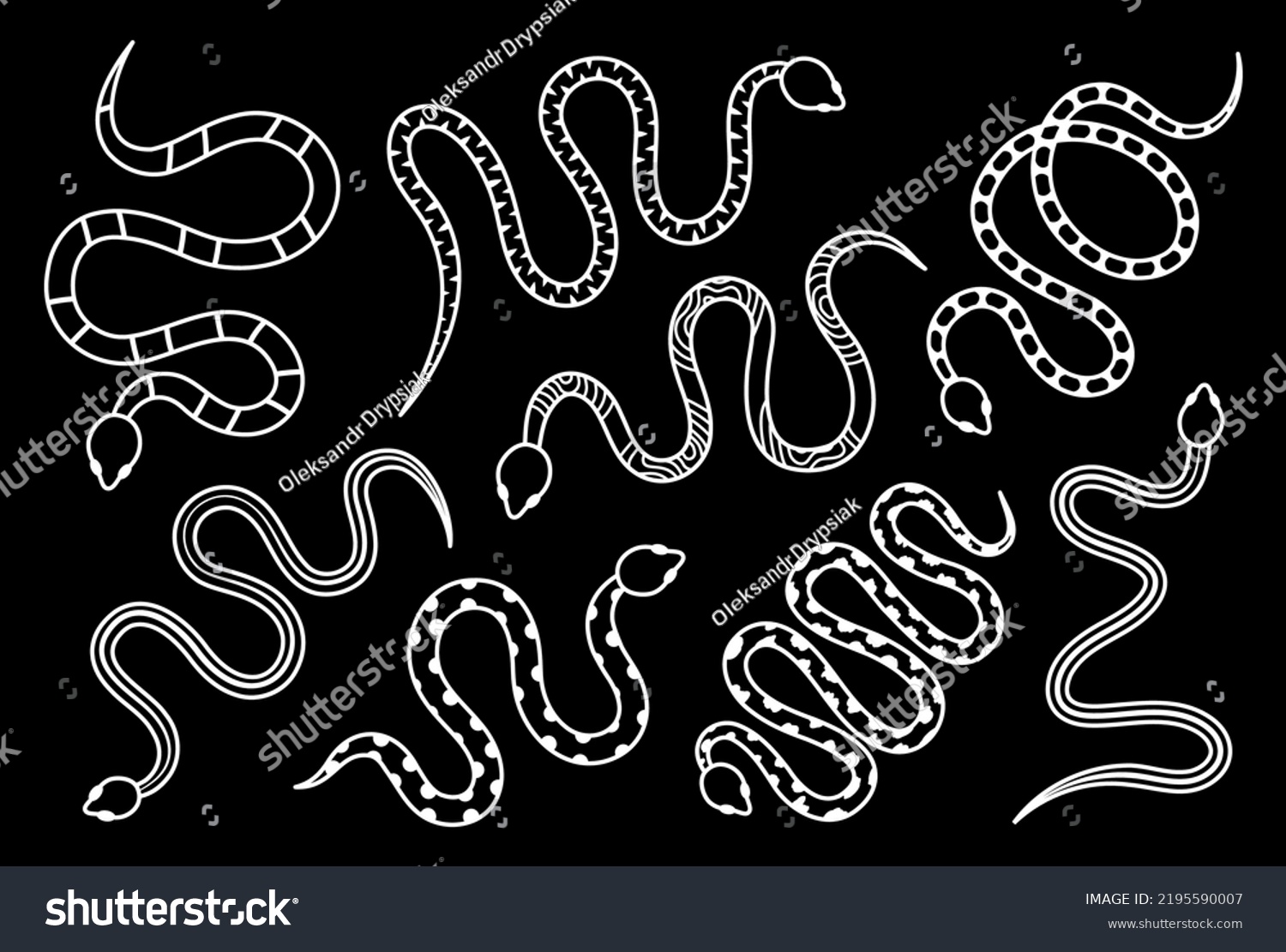 Silhouettes Snakes Tropical Toxic Reptiles Illustration Stock Vector ... Silhouettes Snakes Tropical Toxic Reptiles Illustration Stock Vector ...