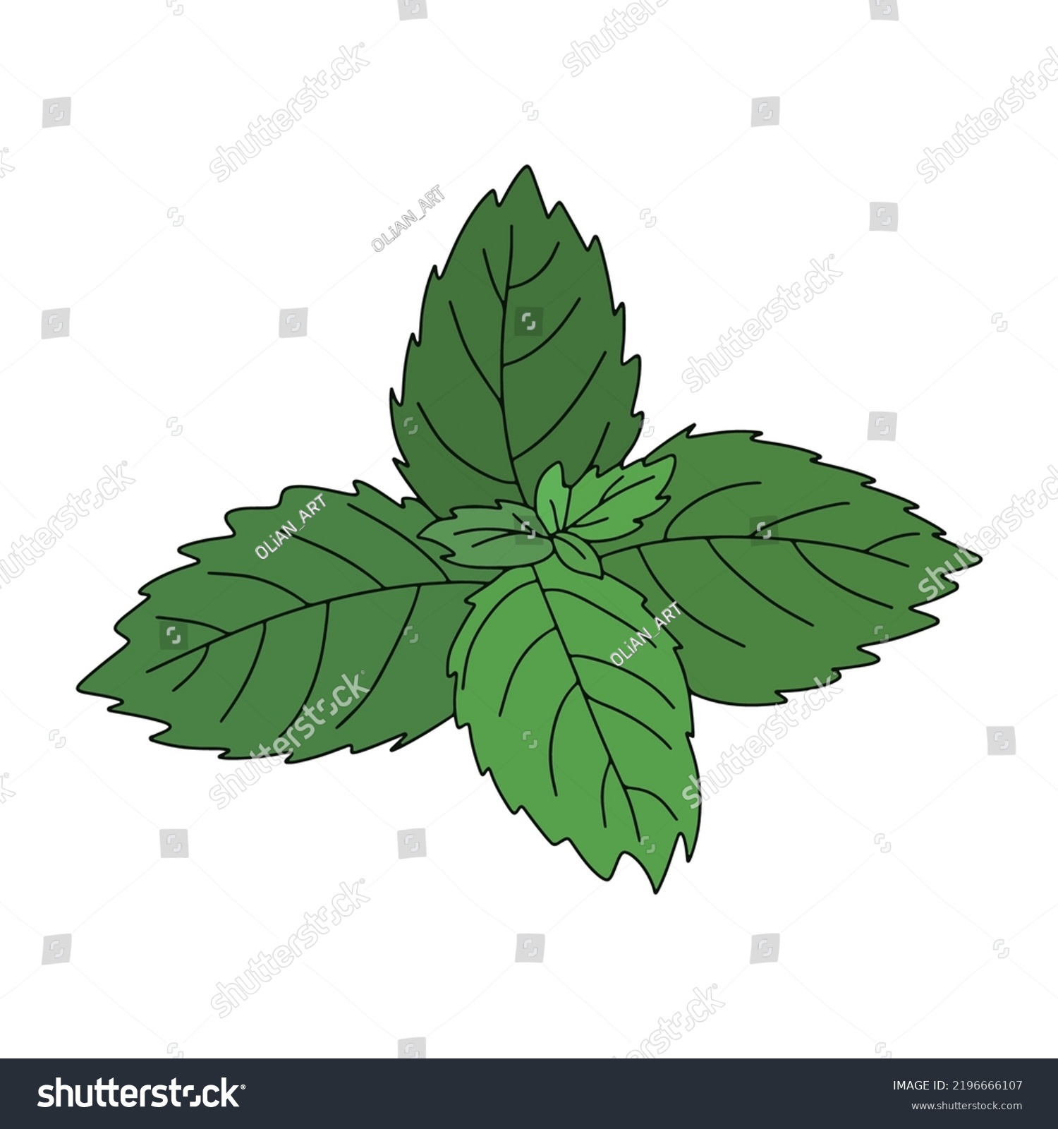 Mint Leaf Cartoon Vector Iconcartoon Vector Stock Vector (Royalty Free ... Mint Leaf Cartoon Vector Iconcartoon Vector Stock Vector (Royalty Free ...