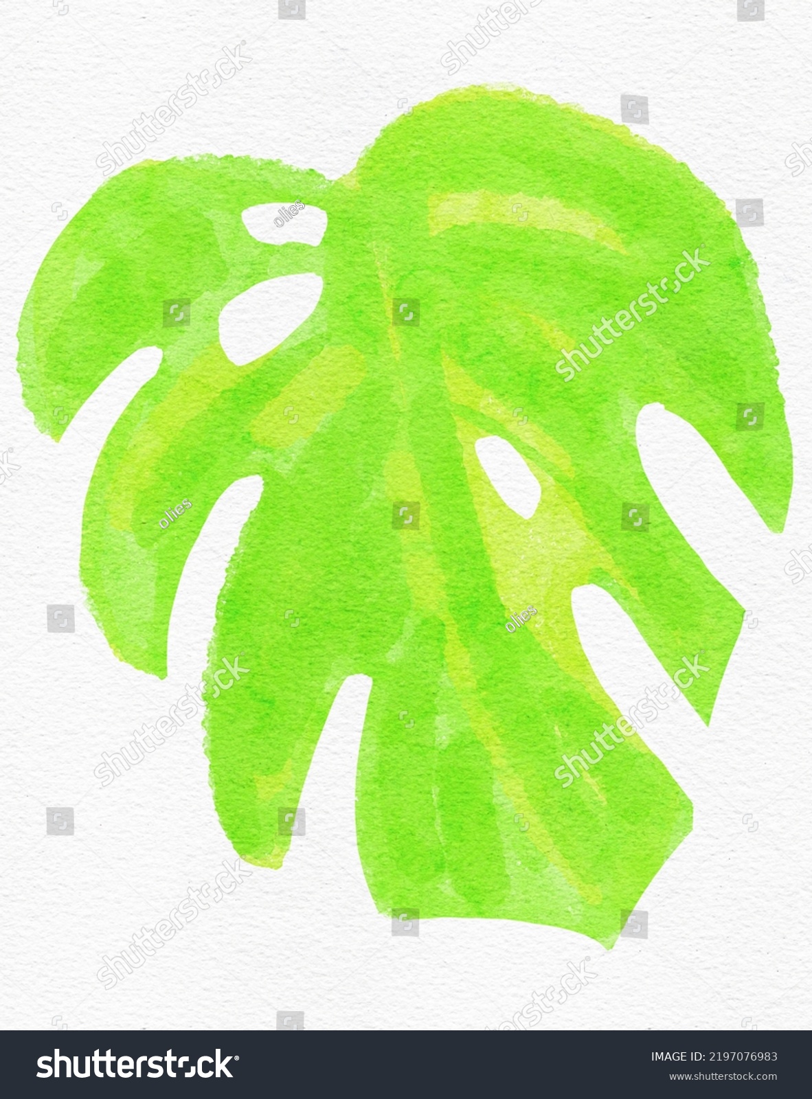 Monstera Neon Leaf Watercolor Illustration Different Stock Illustration ... Monstera Neon Leaf Watercolor Illustration Different Stock Illustration ...