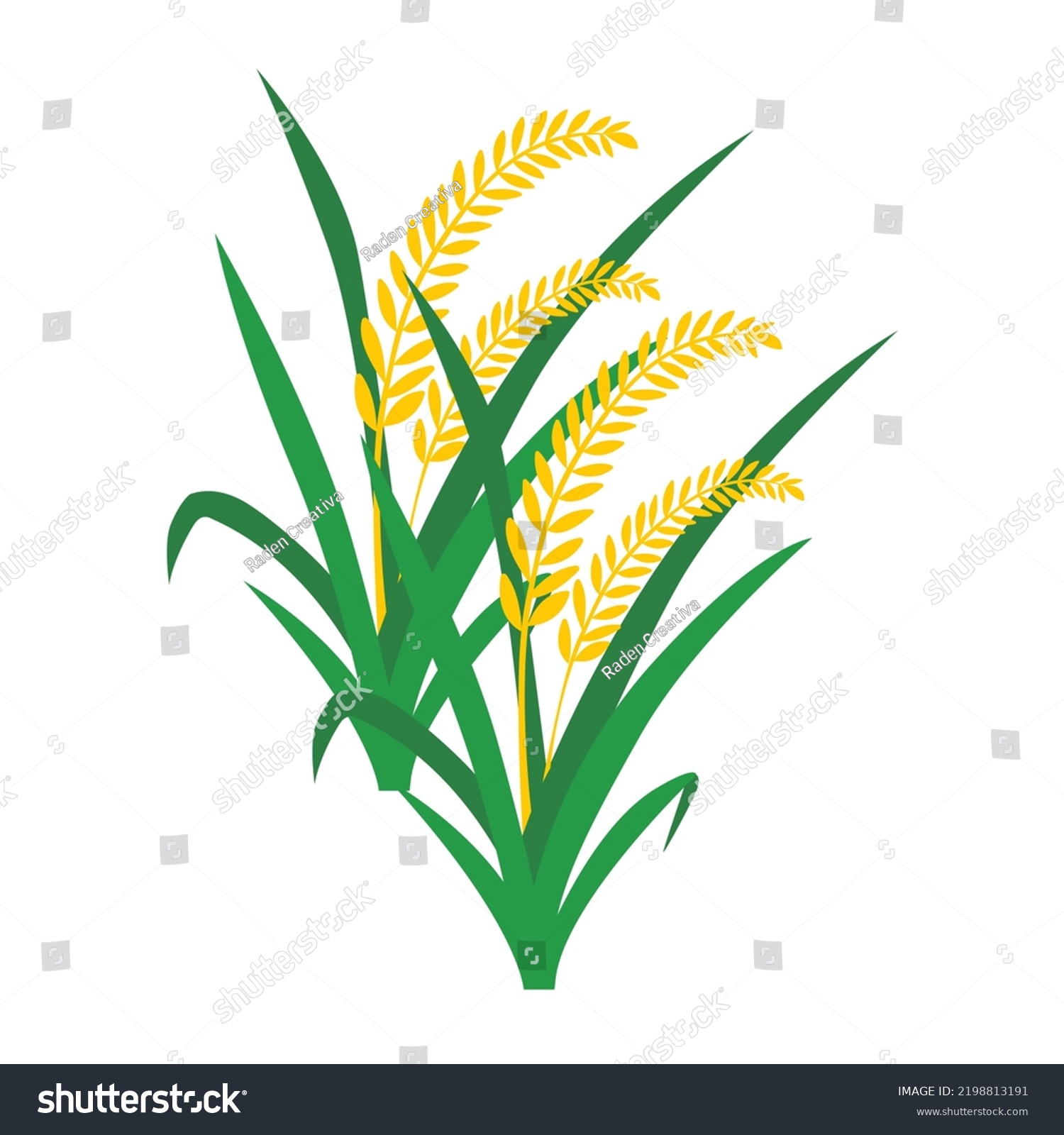 Vector Green Golden Sheaf Rice Rice Stock Vector Royalty Free 2198813191 Shutterstock