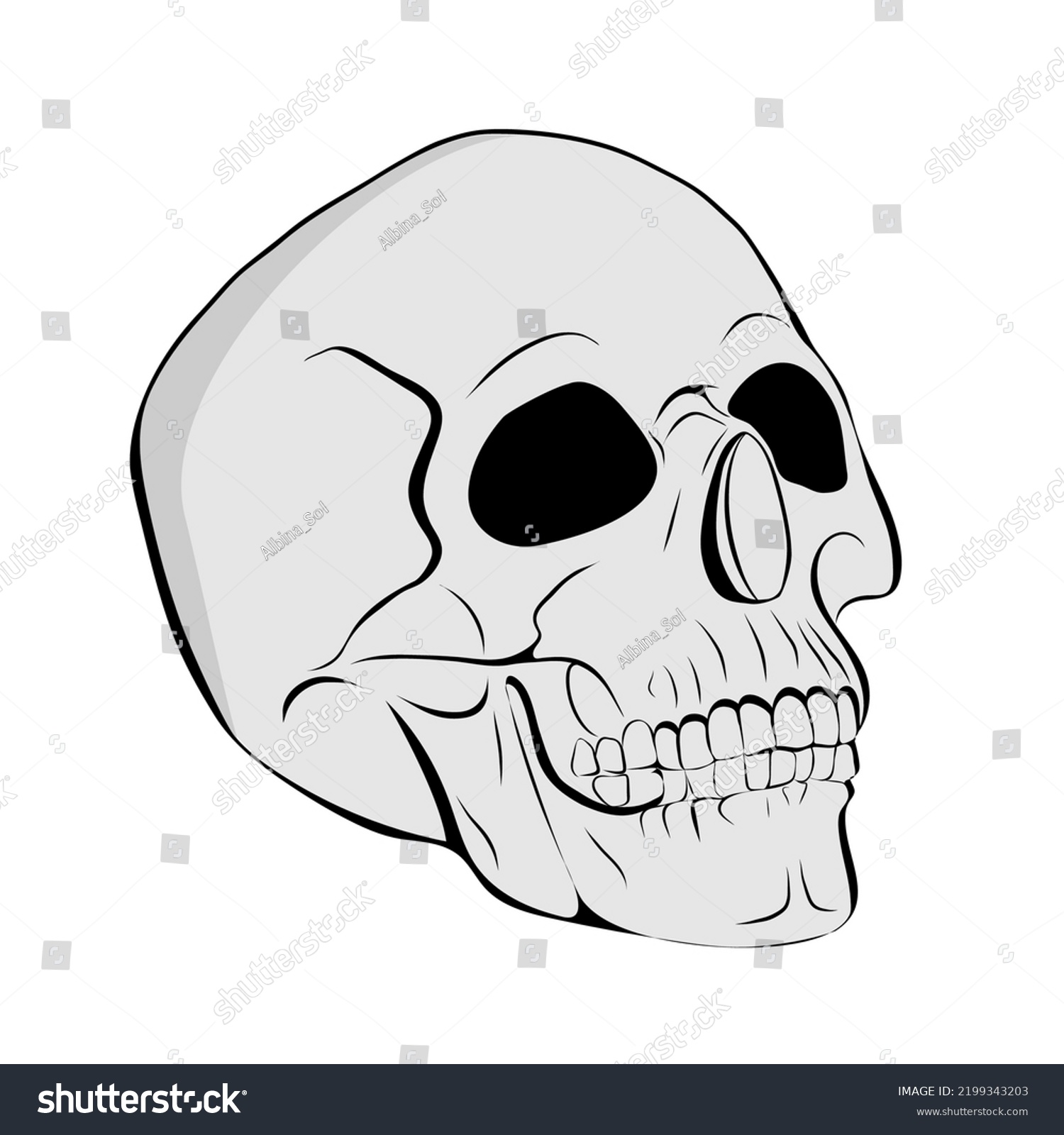 Anatomic Skull Vector Art Isolated On Stock Vector Royalty Free 2199343203 Shutterstock