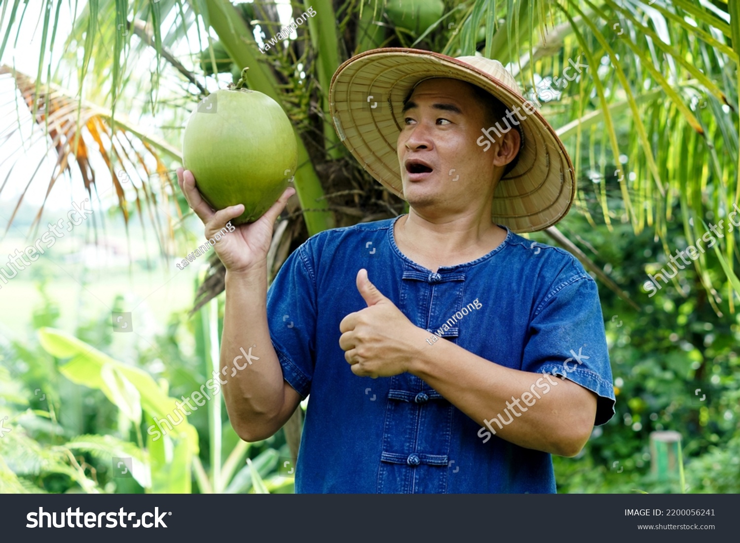 Asian Man Gardener Holds Organic Coconut Stock Photo 2200056241 ... Asian Man Gardener Holds Organic Coconut Stock Photo 2200056241 ...