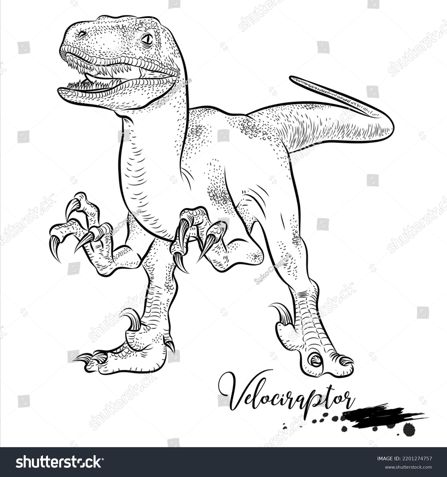 Velociraptor Dinosaurio De Sketch Realista Ilustración Vector De