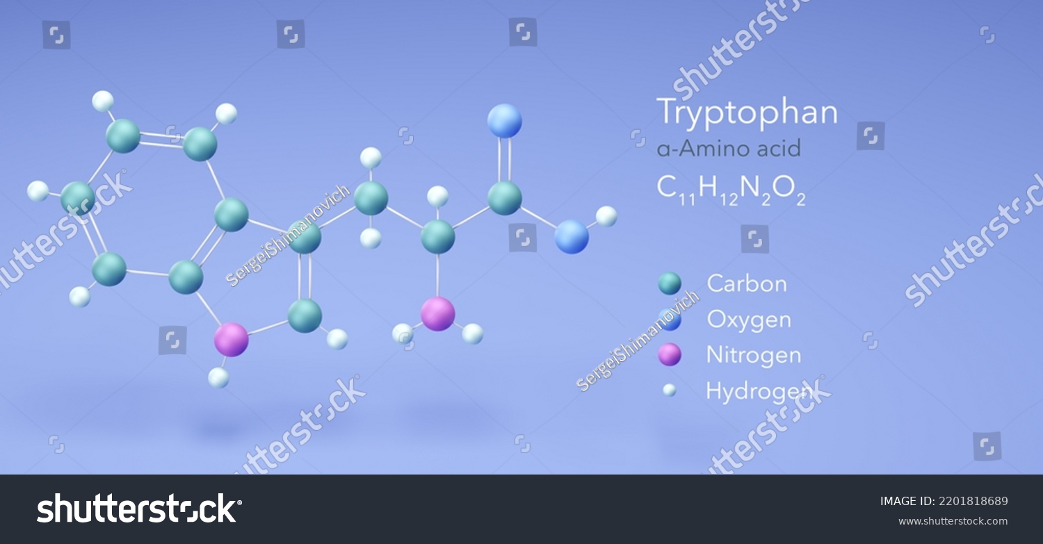Tryptophan Molecular Structures Amino Acid 3d Stock Illustration ... Tryptophan Molecular Structures Amino Acid 3d Stock Illustration ...
