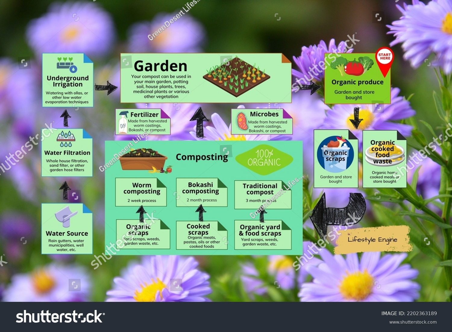 This Flowchart Roadmap Designing Your Future Stock Illustration ... This Flowchart Roadmap Designing Your Future Stock Illustration ...