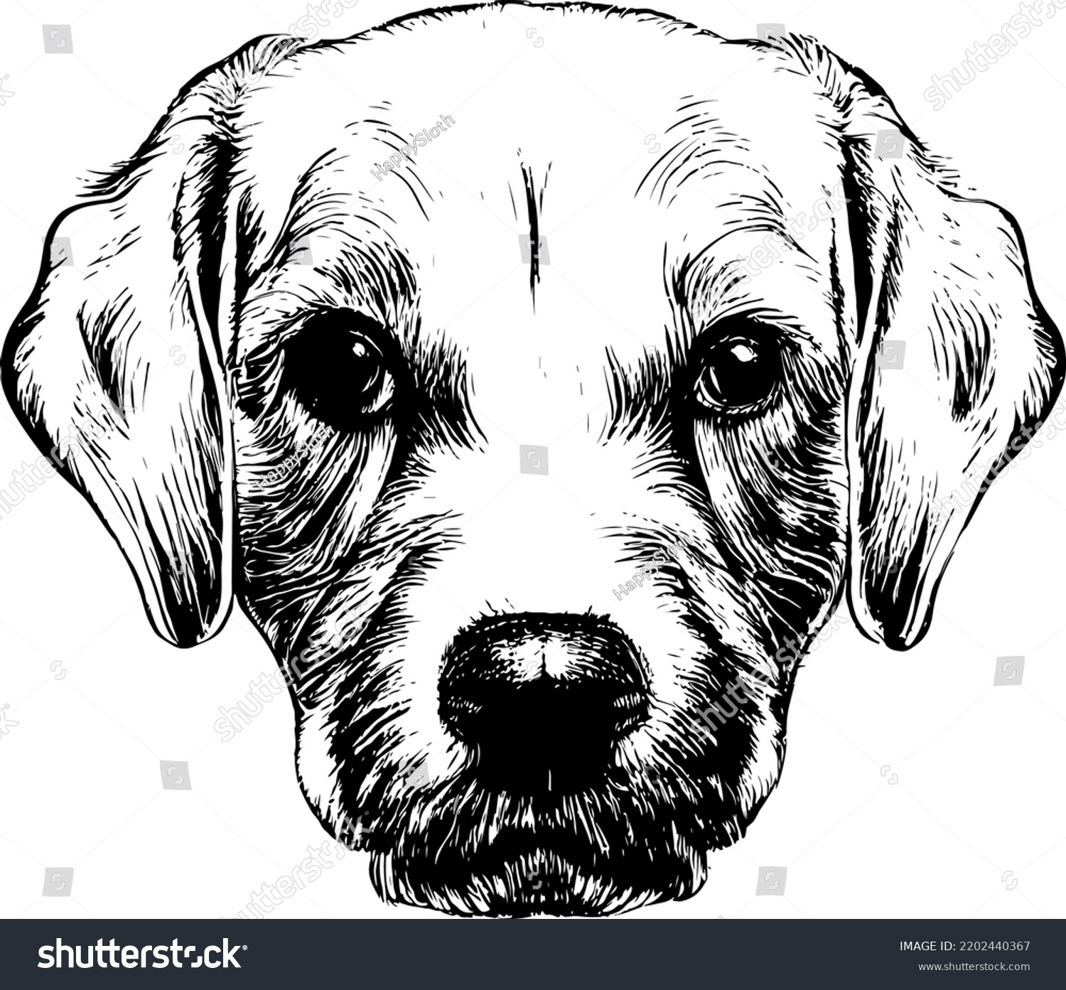Dog Head Line Drawing Vector Close Stock Vector (Royalty Free ... Dog Head Line Drawing Vector Close Stock Vector (Royalty Free ...