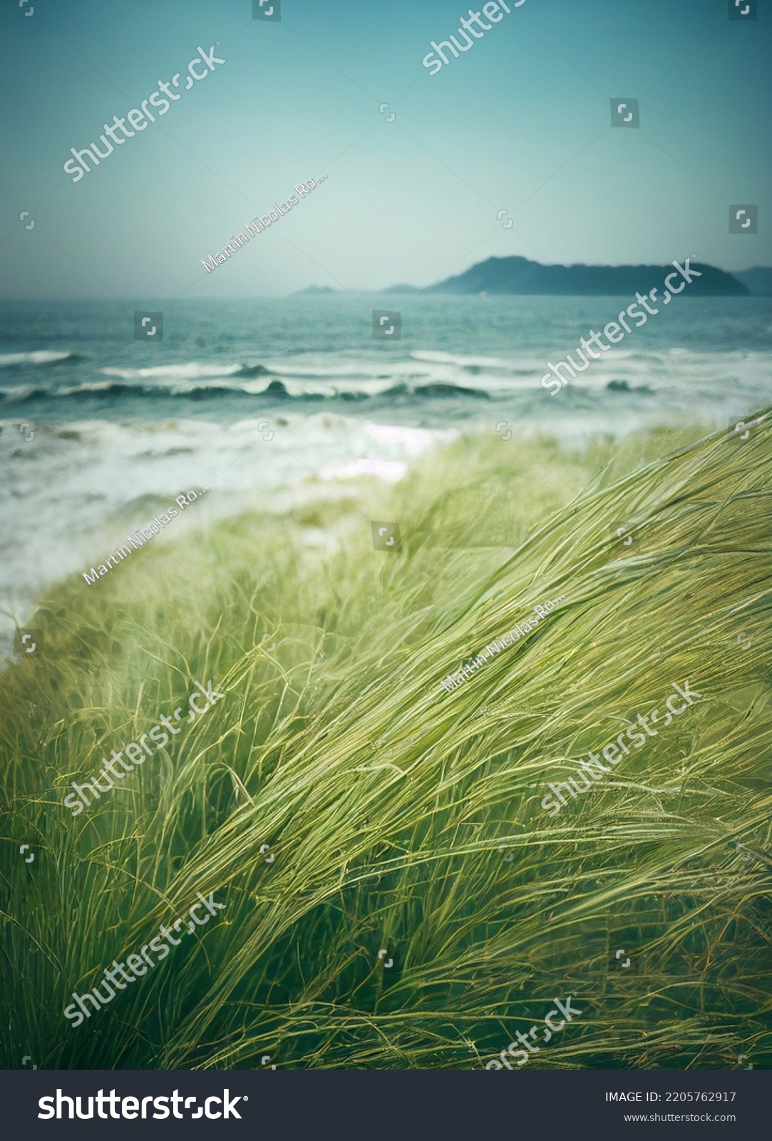 Windy Day Beach Stock Illustration 2205762917 Shutterstock