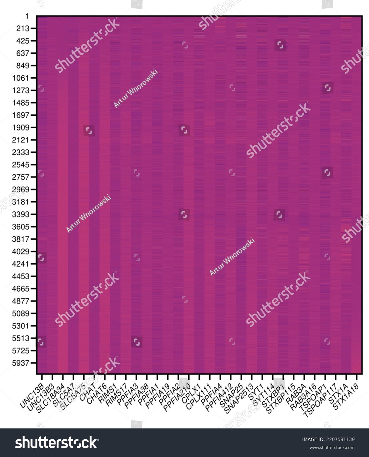 Heatmap Representing Gene Expression Data Multiple Stock Vector ... Heatmap Representing Gene Expression Data Multiple Stock Vector ...