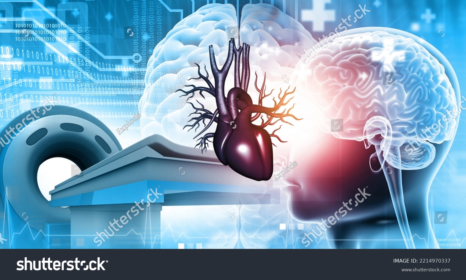 Human Heart Brain Anatomy Mri Scan Stock Illustration 2214970337 Shutterstock