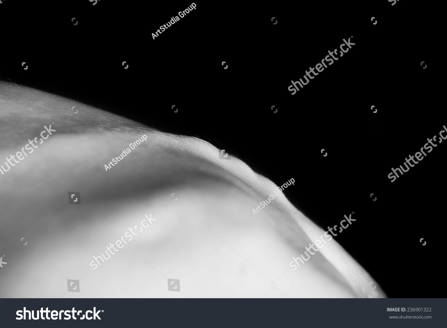Perfect Nude Body Parts Studio Isolated Stock Photo 236901322 ... Perfect Nude Body Parts Studio Isolated Stock Photo 236901322 ...