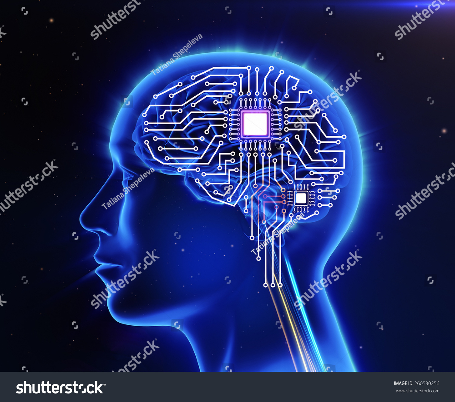 Computer Circuit Board Form Human Brain Stock Illustration 260530256
