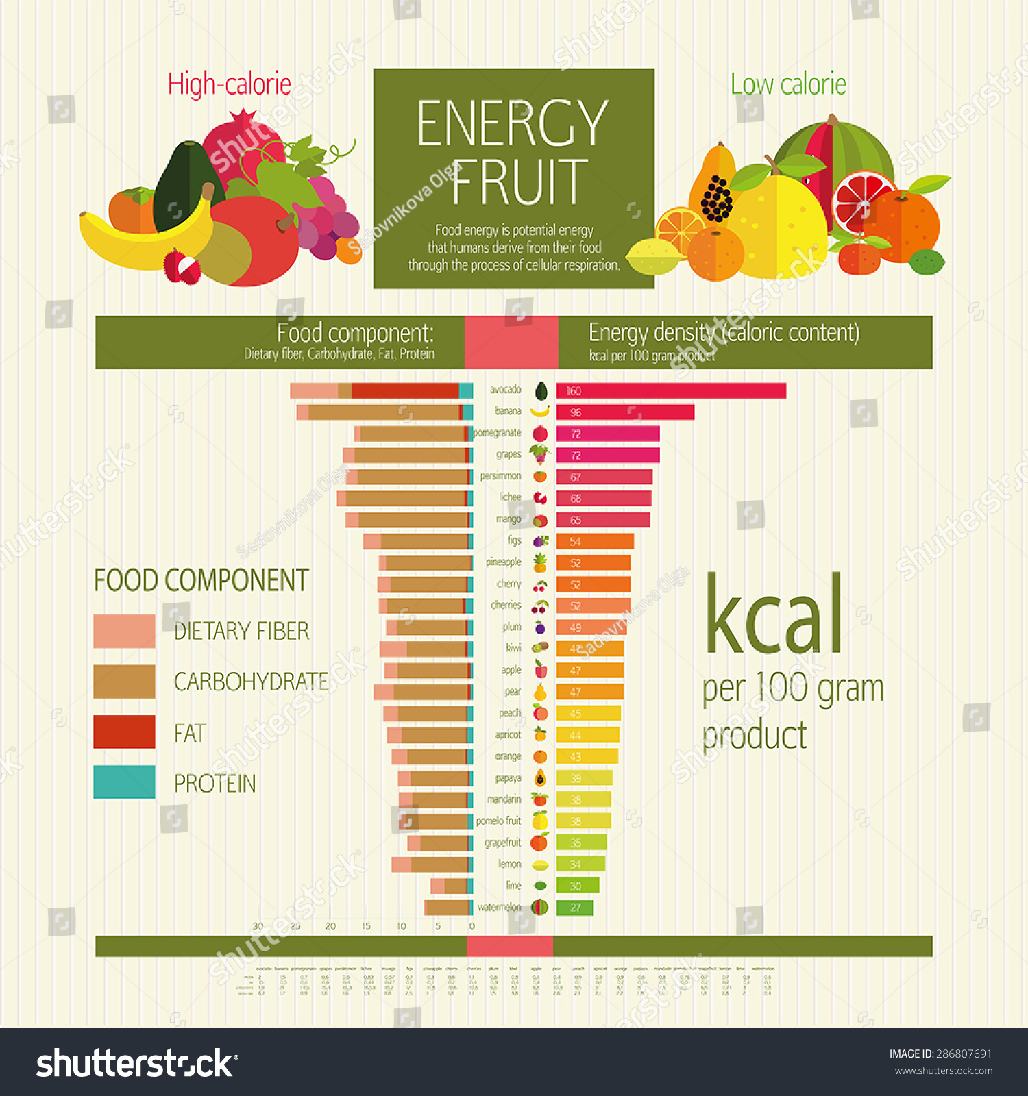 Highcalorie Lowcalorie Fruits Table Calorie Fruits Stock Vector