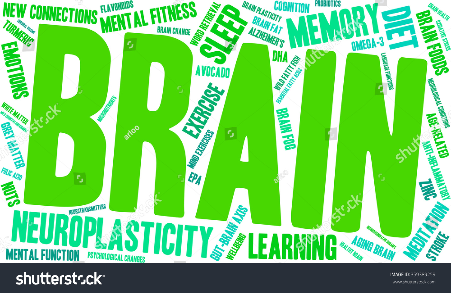 Brain Word Cloud On White Background Stock Vector Royalty Free 359389259 Shutterstock