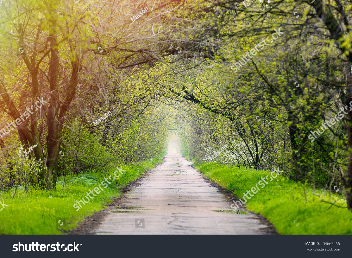 4,564 Country Road After Rain Images, Stock Photos & Vectors | Shutterstock 4,564 Country Road After Rain Images, Stock Photos & Vectors | Shutterstock