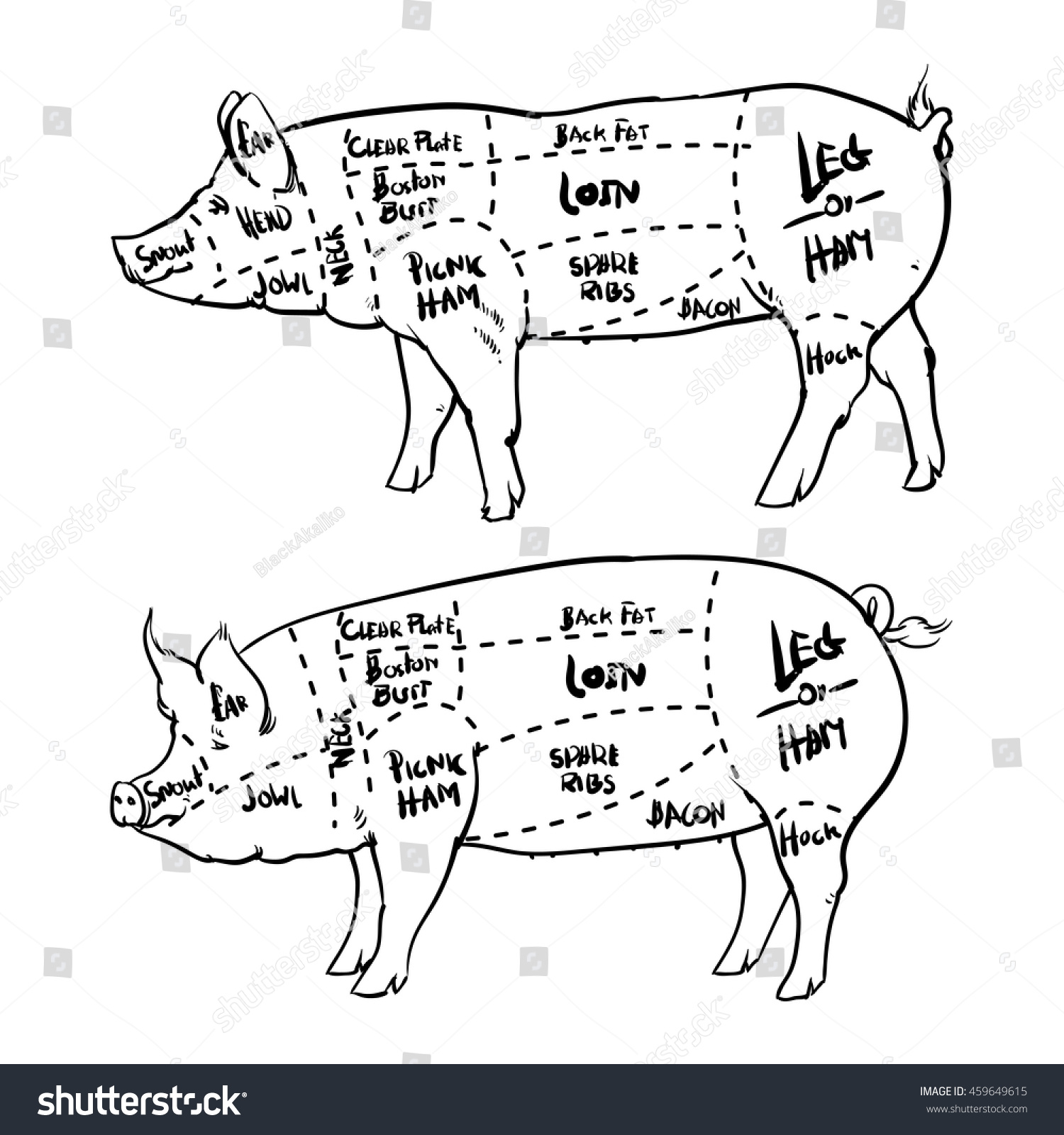 Pork Cuts Diagram Outline Butchery Set Stock Vector (Royalty Free ... Pork Cuts Diagram Outline Butchery Set Stock Vector (Royalty Free ...