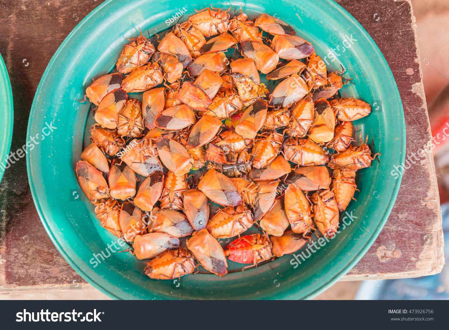 Fried Longan Stink Bug Tessaratoma Papillosa Stock Photo 473926756 ... Fried Longan Stink Bug Tessaratoma Papillosa Stock Photo 473926756 ...