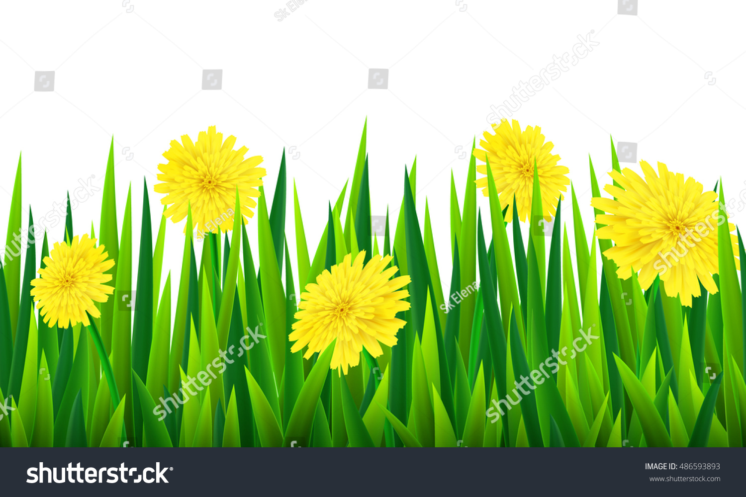 Seamless Border Grass Flowers Vector Illustration Stock Vector Royalty Free 486593893