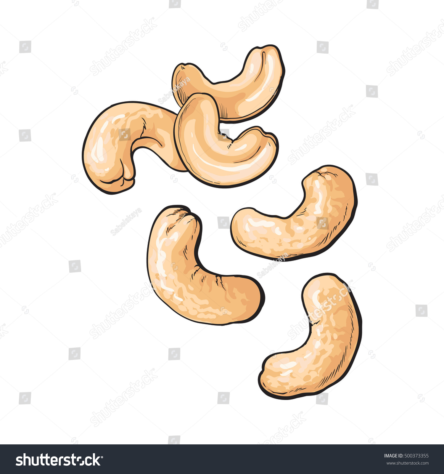 Whole Peeled Cashew Nuts Vector Illustration Stock Vector (Royalty Free ... Whole Peeled Cashew Nuts Vector Illustration Stock Vector (Royalty Free ...