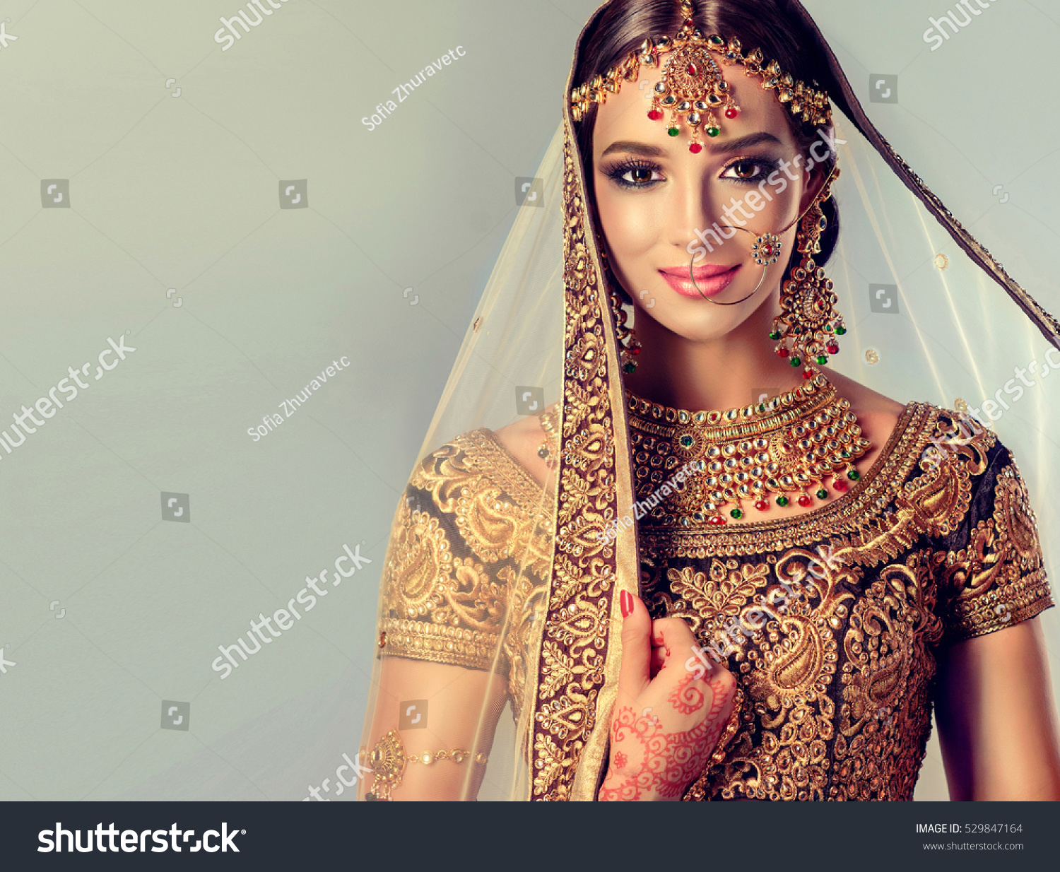 Indian Beautiful Girls Saree 26 652 รายการ ภาพ ภาพสต็อกและเวกเตอร์