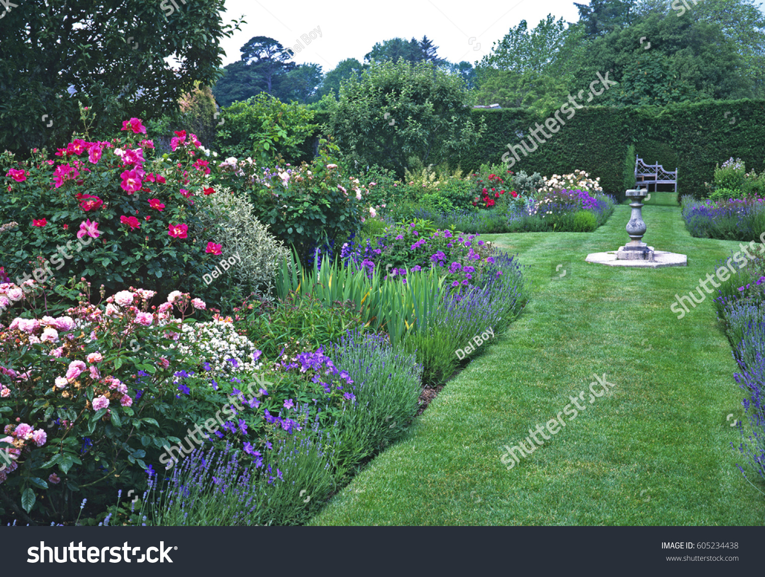 Colorful Mixed Flower Border English Country Stock Photo 605234438 ... Colorful Mixed Flower Border English Country Stock Photo 605234438 ...