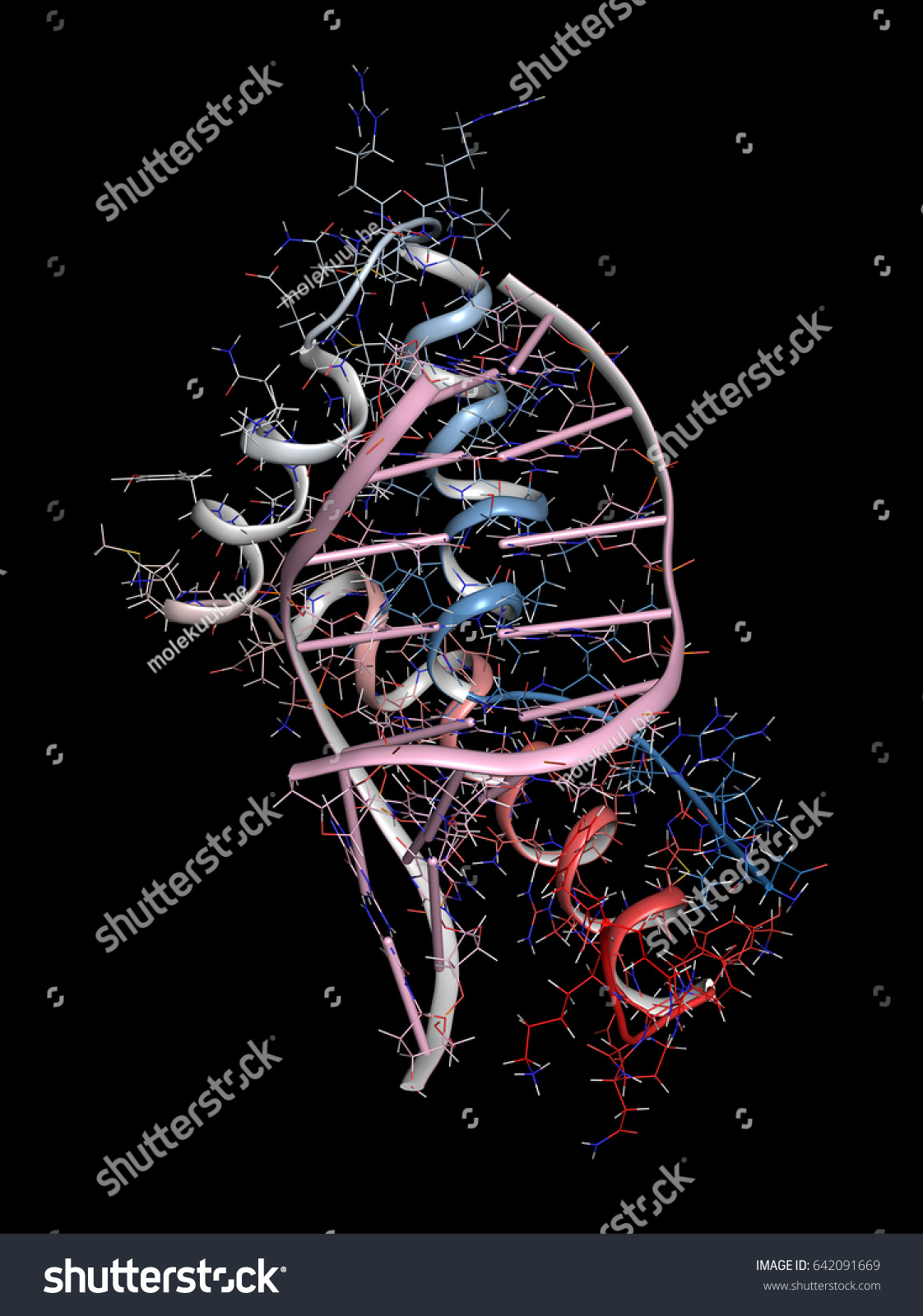 Sexdetermining Region Y Sry Tdf Hmg Stock Illustration 642091669