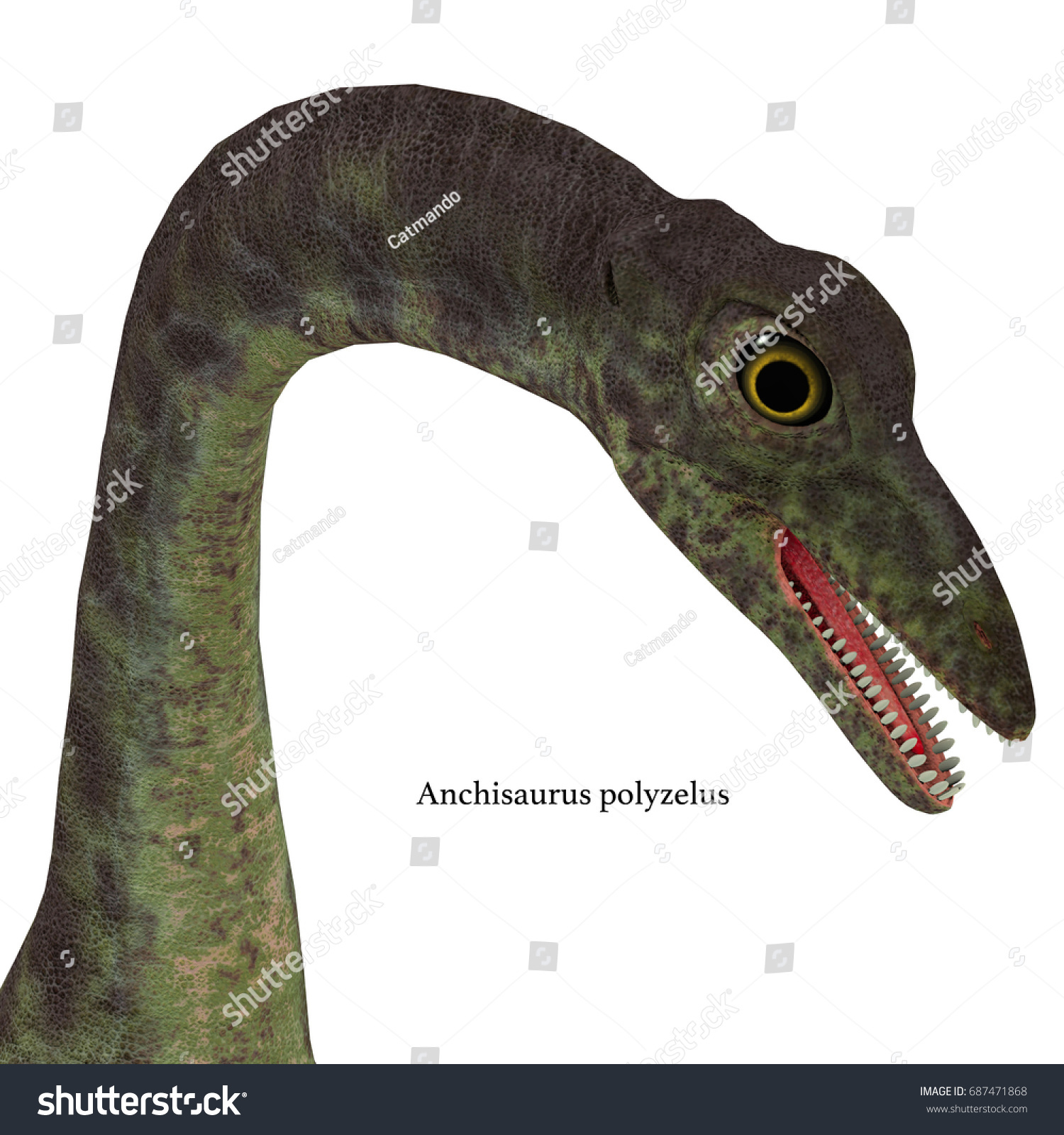 Anchisaurus Dinosaur Head Font 3d Illustration Stock Illustration ... Anchisaurus Dinosaur Head Font 3d Illustration Stock Illustration ...