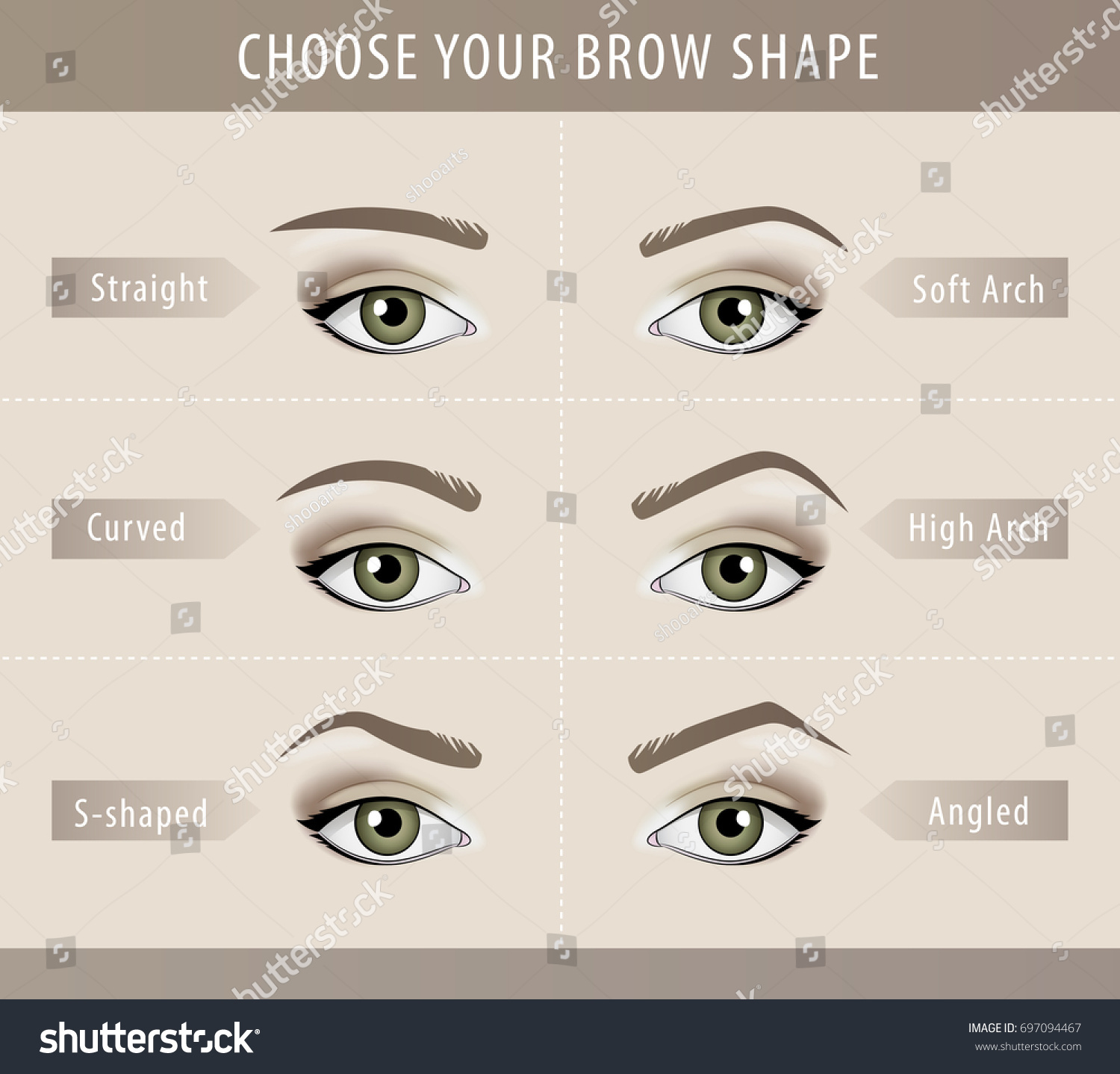 Different Eyebrow Shapes Tutorial Vector Template Stock Vector Royalty