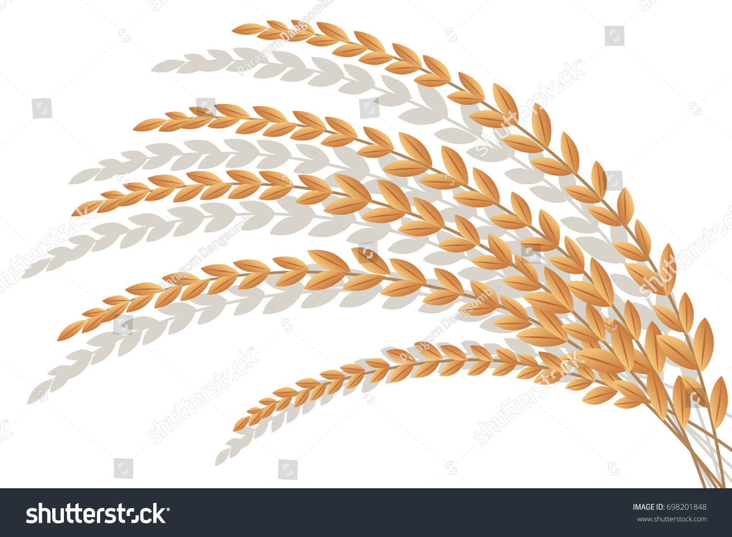 Ear Rice Graphic Vector Stock Vector (Royalty Free) 698201848 ...