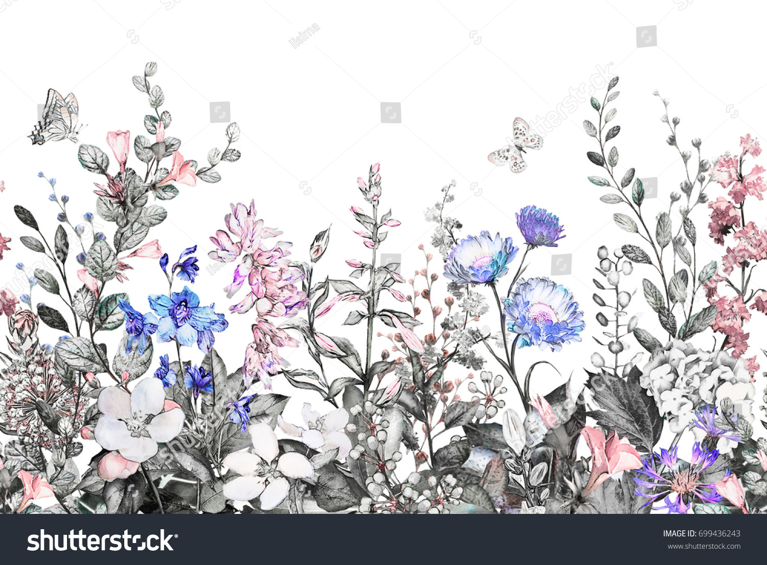 Seamless Rim Border Herbs Wild Flowers Stock Illustration 699436243 ... Seamless Rim Border Herbs Wild Flowers Stock Illustration 699436243 ...