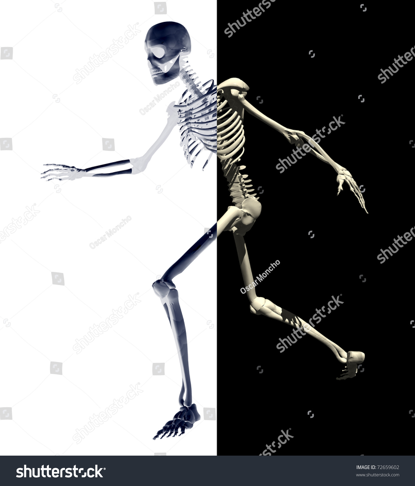 Skeleton Illustration Running Positive Negative Stock Illustration ... Skeleton Illustration Running Positive Negative Stock Illustration ...